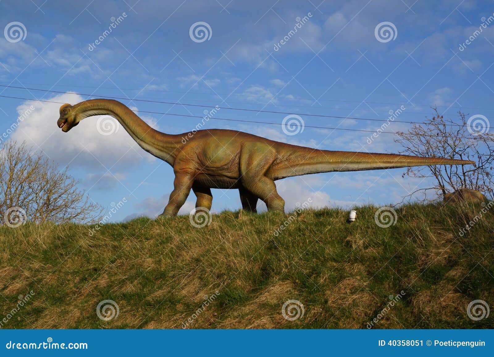 Brachiosaurus - Brachiosaurus Altithorax Stock Image - Image of ...