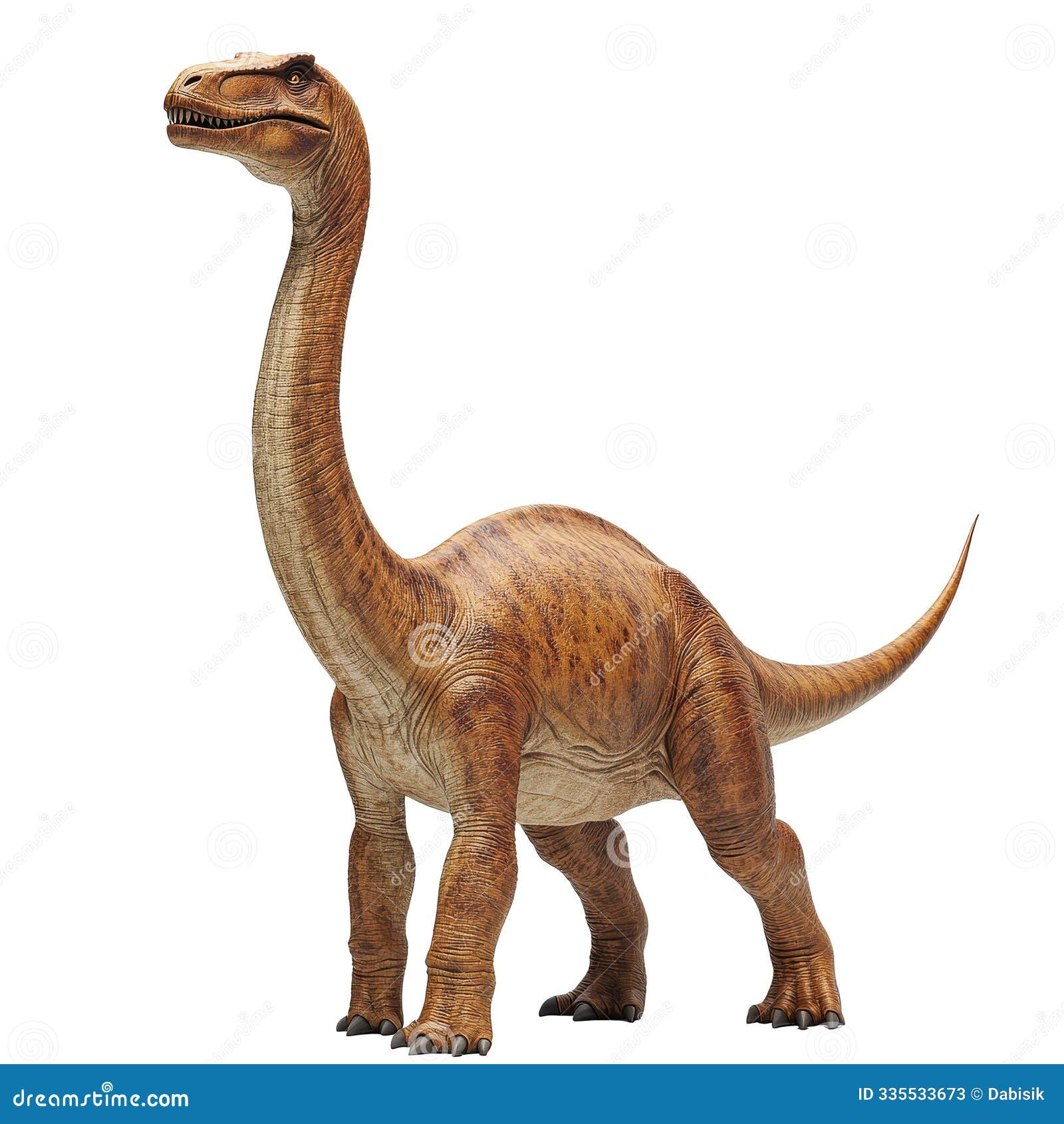 Brachiosaurus Dinosaur Isolated on White Background Stock Image - Image ...