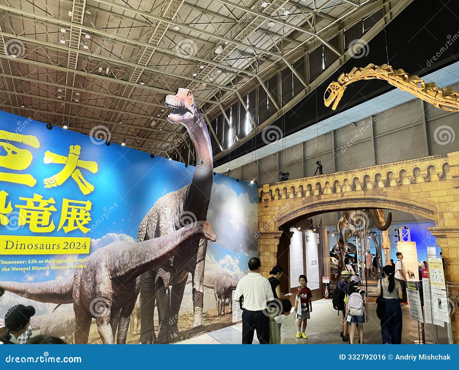 Brachiosaurus Dinosaur Skeleton Fossils Editorial Photo - Image of ...