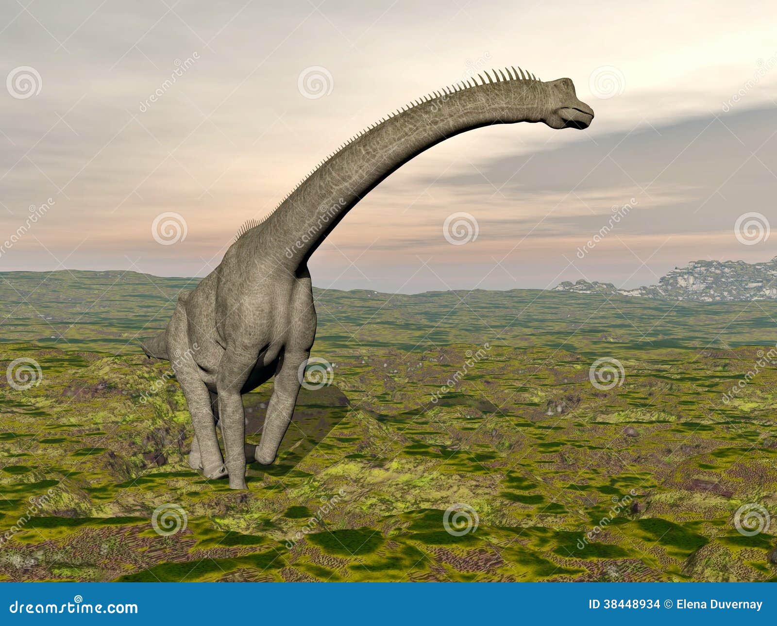 Brachiosaurus Dinosaur Walking - 3D Render Stock Illustration ...