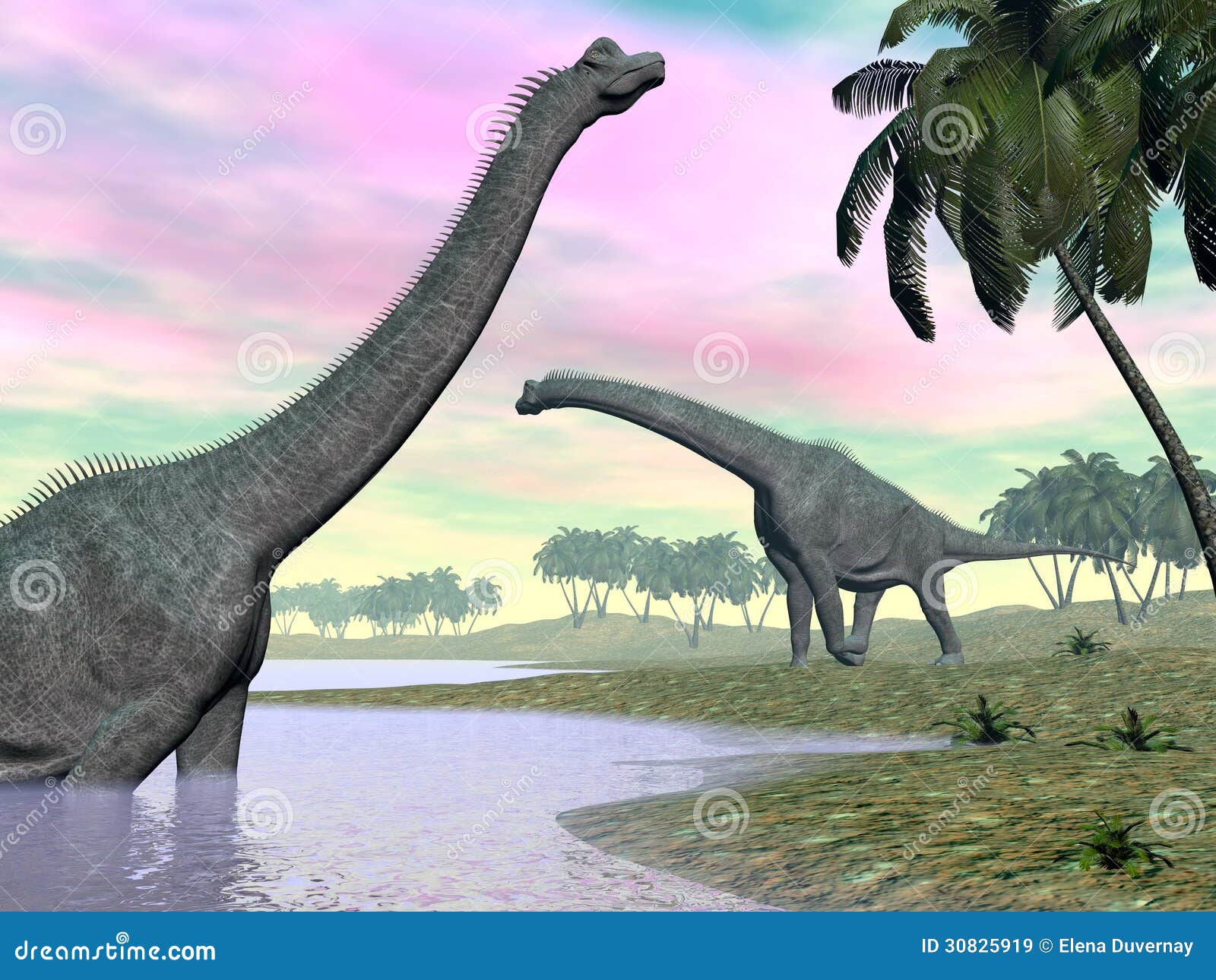 Brachiosaurus Dinosaurs in Nature - 3D Render Stock Illustration ...