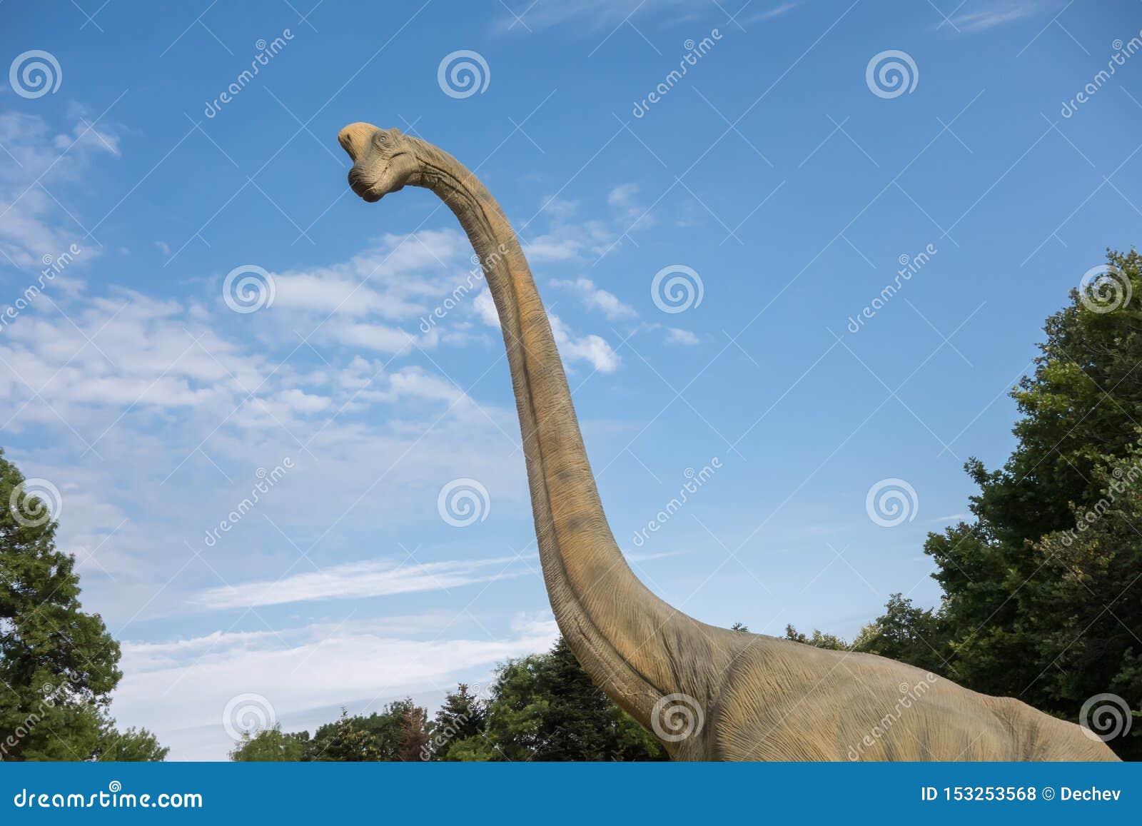 Brachiosaurus Realistic Model. Head Close of Dinosaur Stock Photo ...