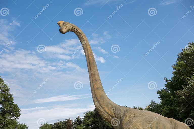 Brachiosaurus Realistic Model. Head Close of Dinosaur Stock Photo ...