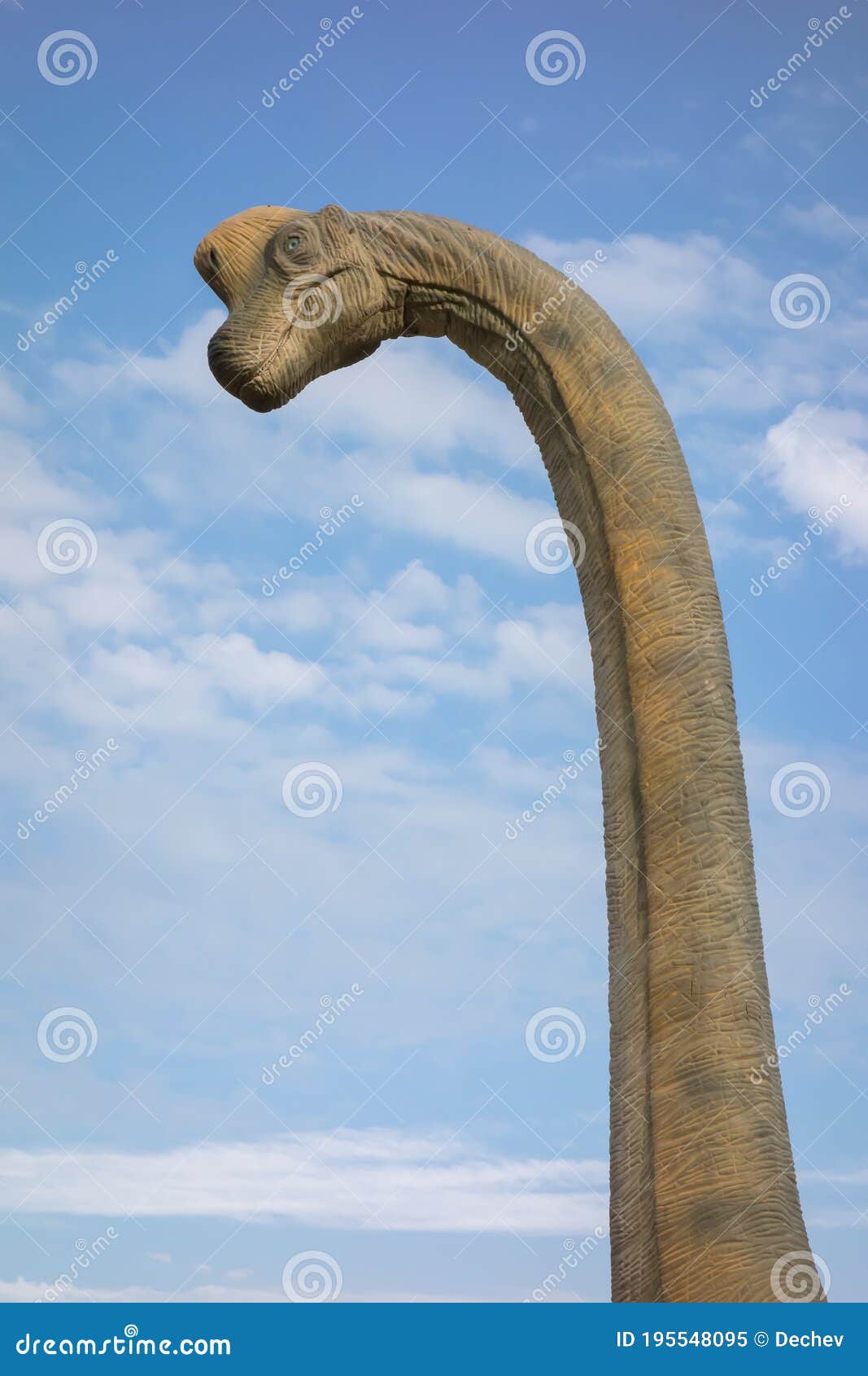 Brachiosaurus Realistic Model. Head Close of Dinosaur Stock Image ...