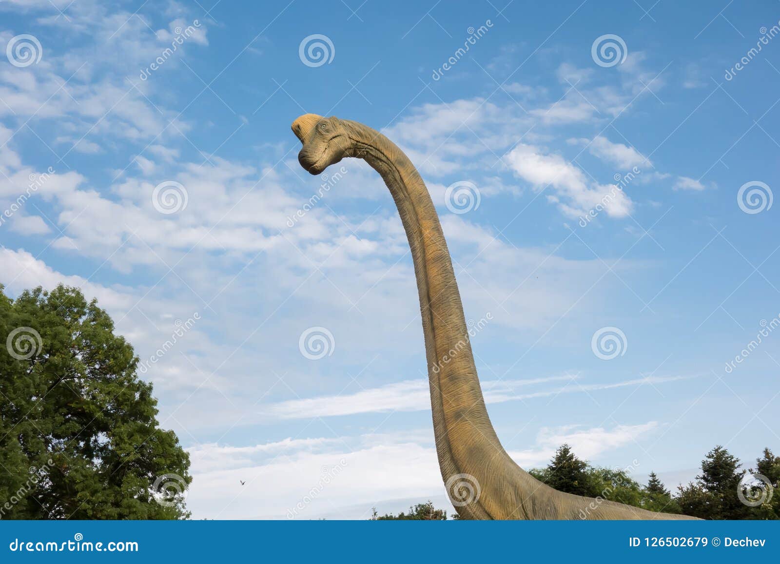 Brachiosaurus Realistic Model. Head Close of Dinosaur Stock Image ...
