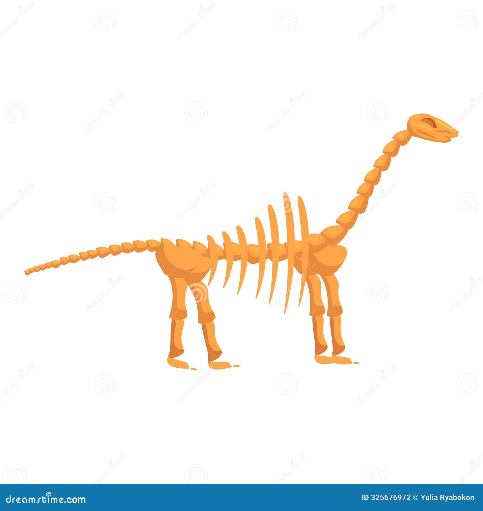Brachiosaurus Skeleton Standing on Ground Dinosaur Paleontology Stock ...