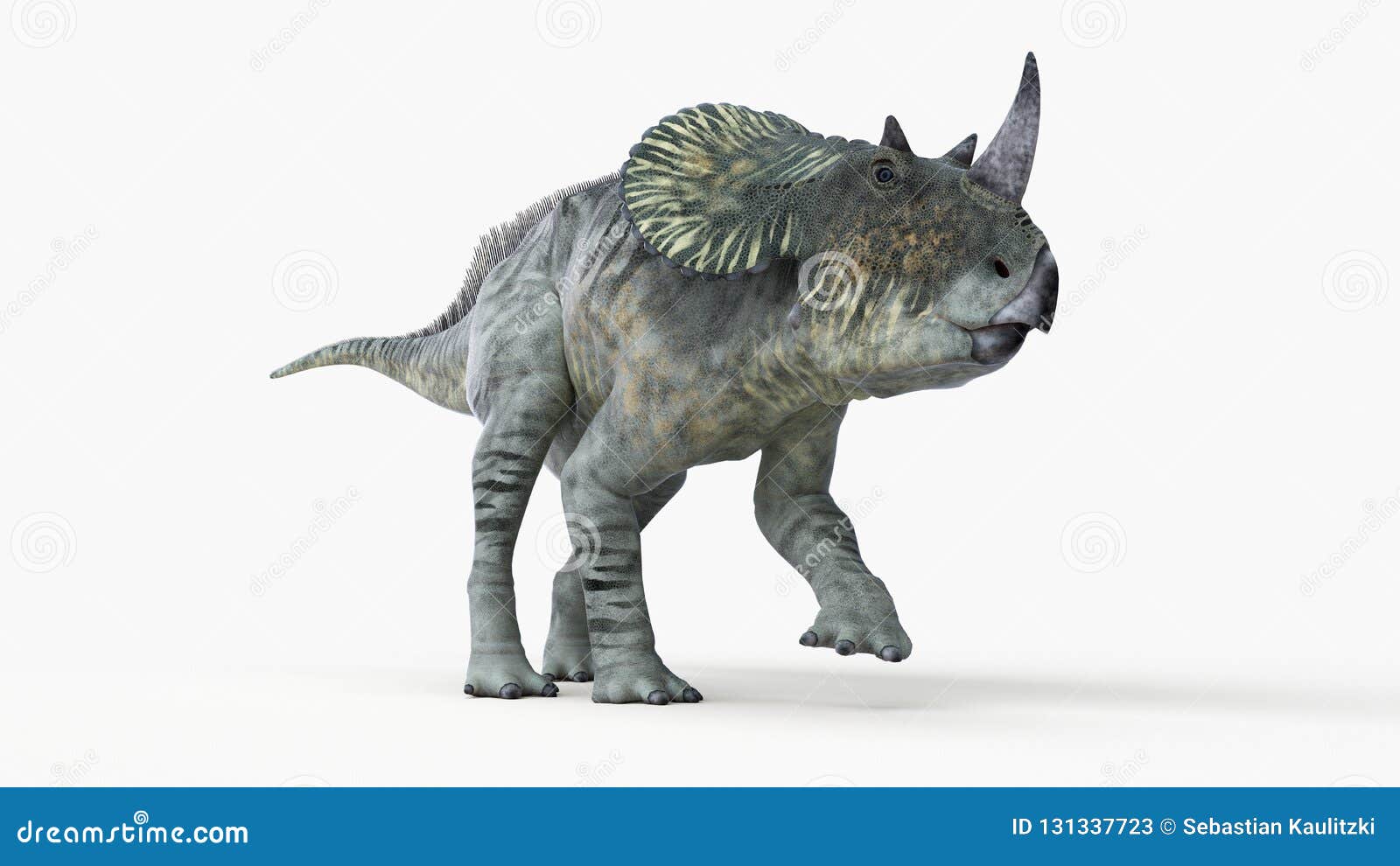 A brachyceratops stock illustration. Illustration of model - 131337723