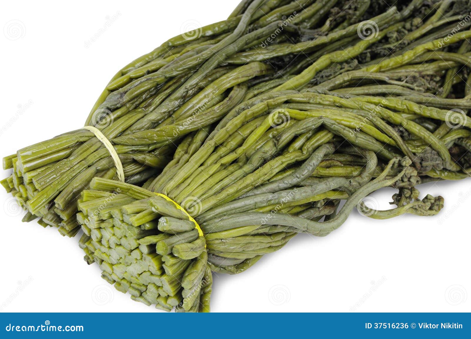 Bracken fern stock photo. Image of plant, organic, vegetable - 37516236