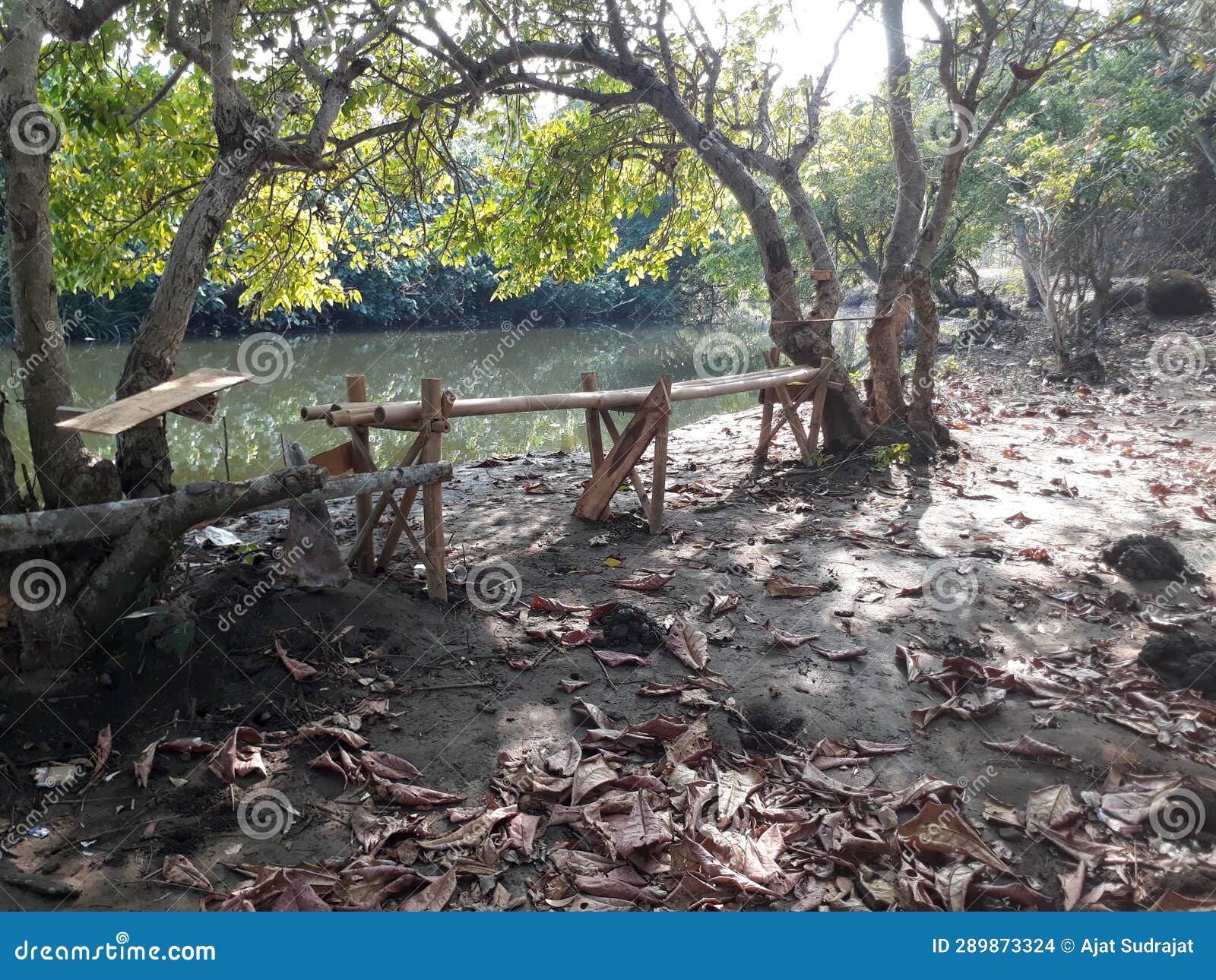 Brackish Water Rivers Where River Water Flows into the Sea Stock Photo ...