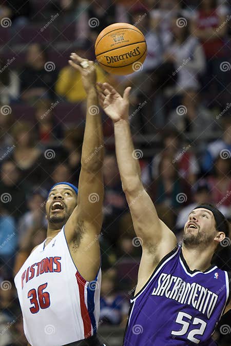 Brad Miller and Rasheed Wallace Editorial Image - Image of professional ...