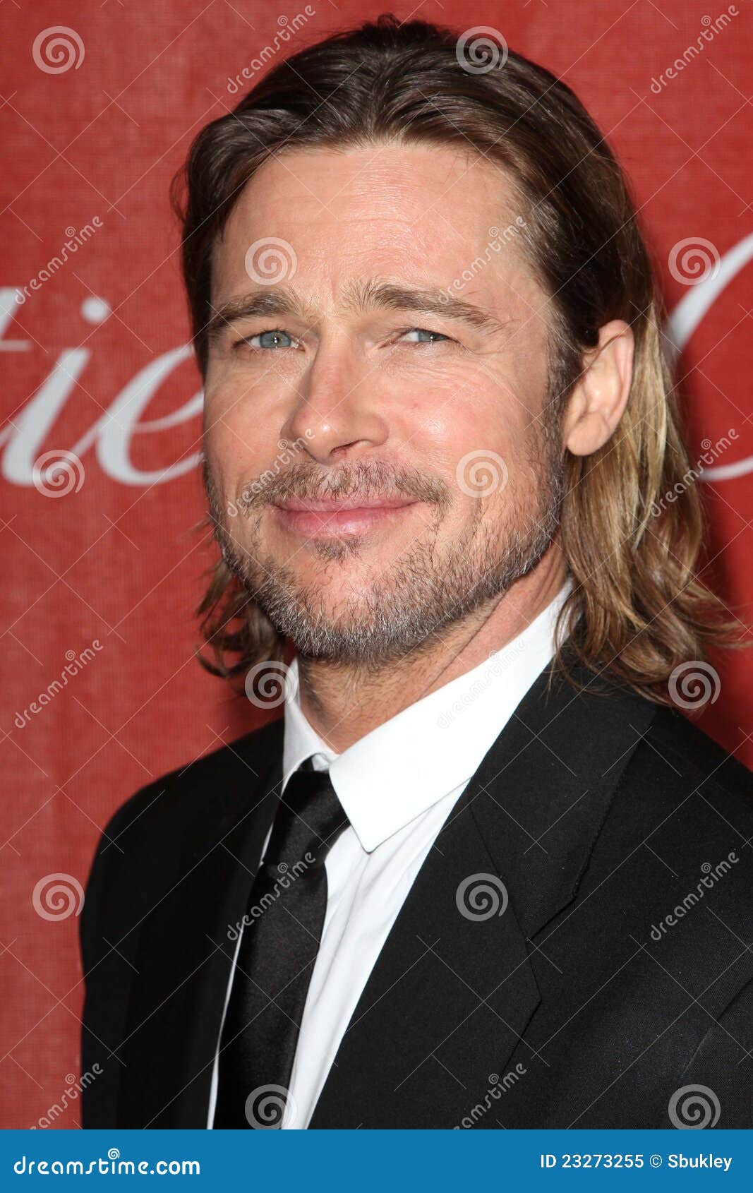 Brad Pitt editorial image. Image of 23rd, springs, palm - 23273255