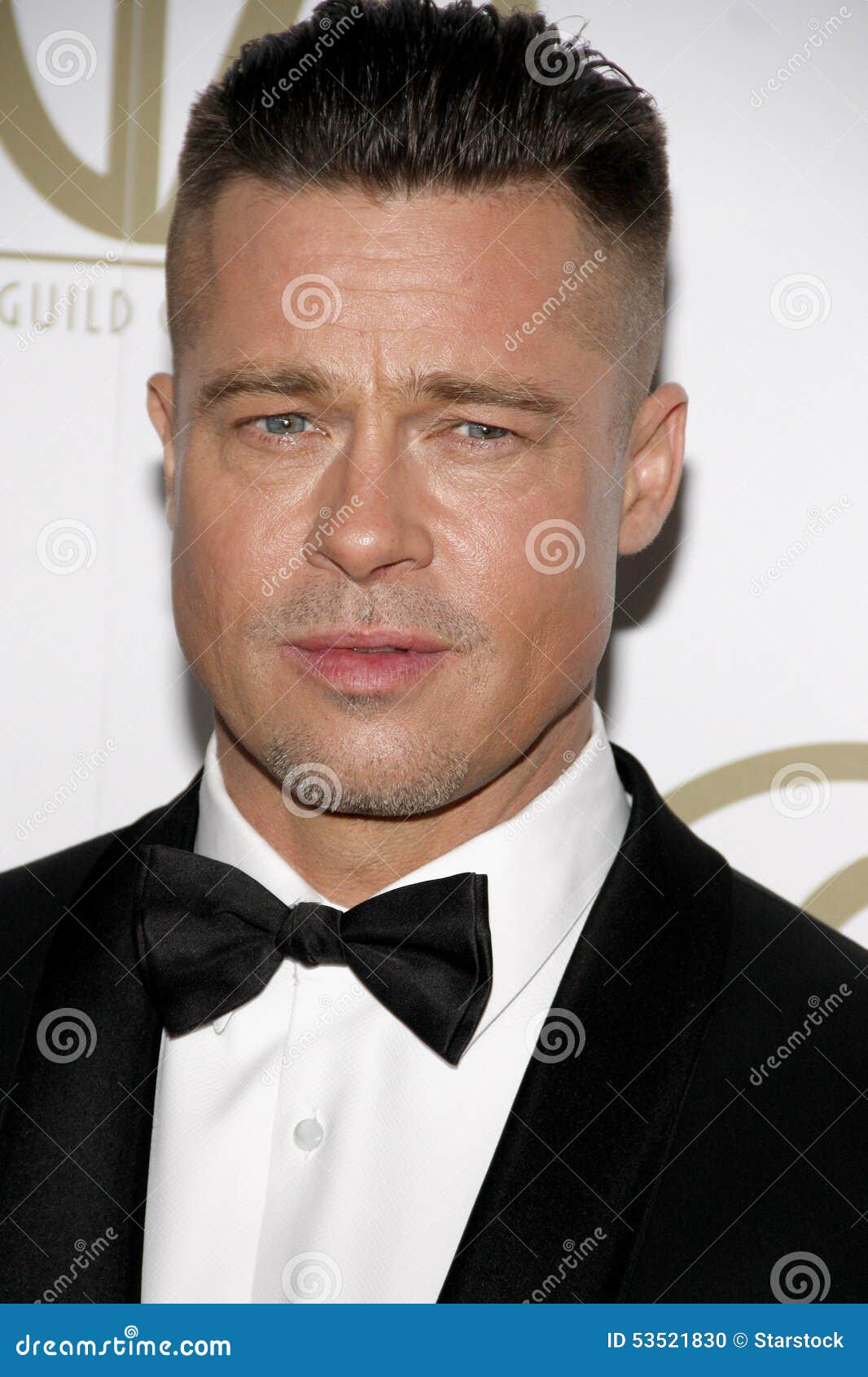 Brad Pitt 编辑类图片. 图片 包括有 操作, 专业人员, 活动, 事实, 下巴, 电影, 加利福尼亚 - 53521830