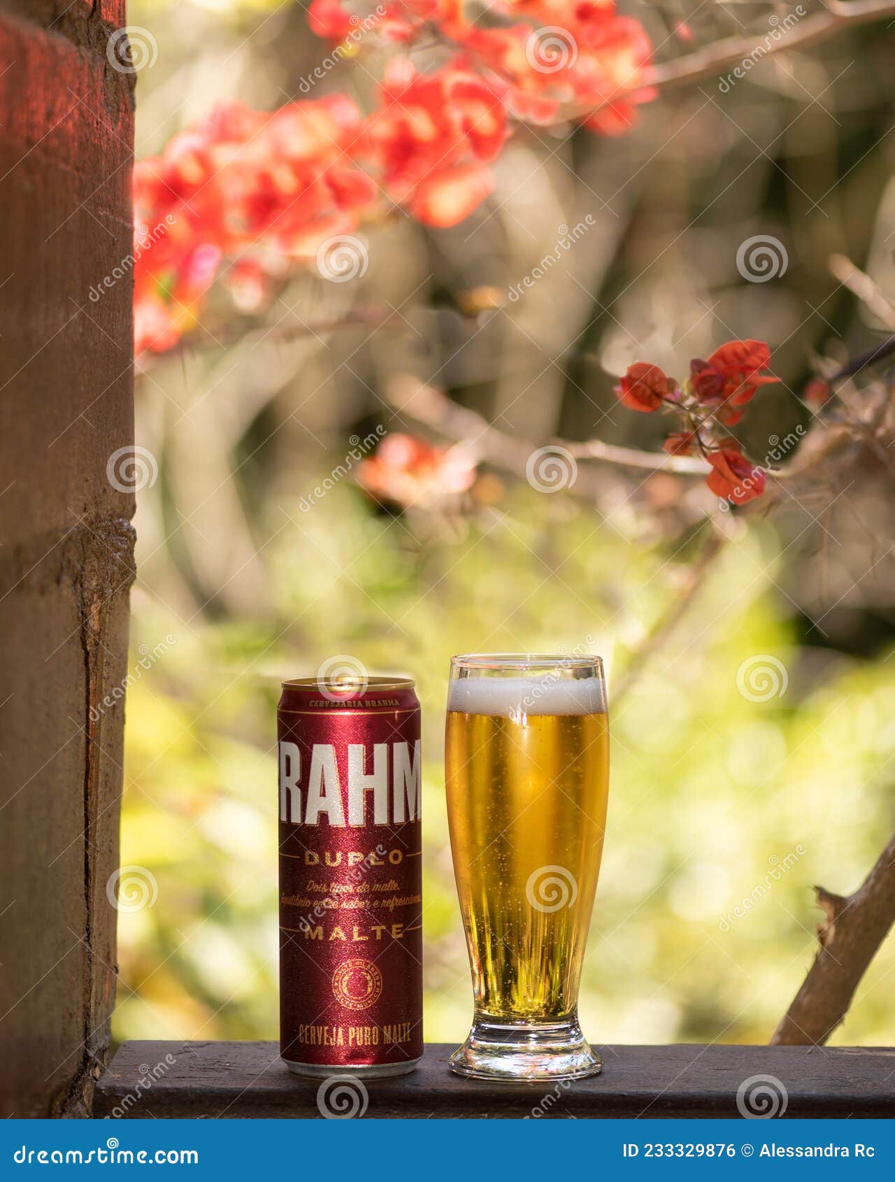 Brahma Duplo Malte Bottle and Glass Editorial Photo - Image of malte ...
