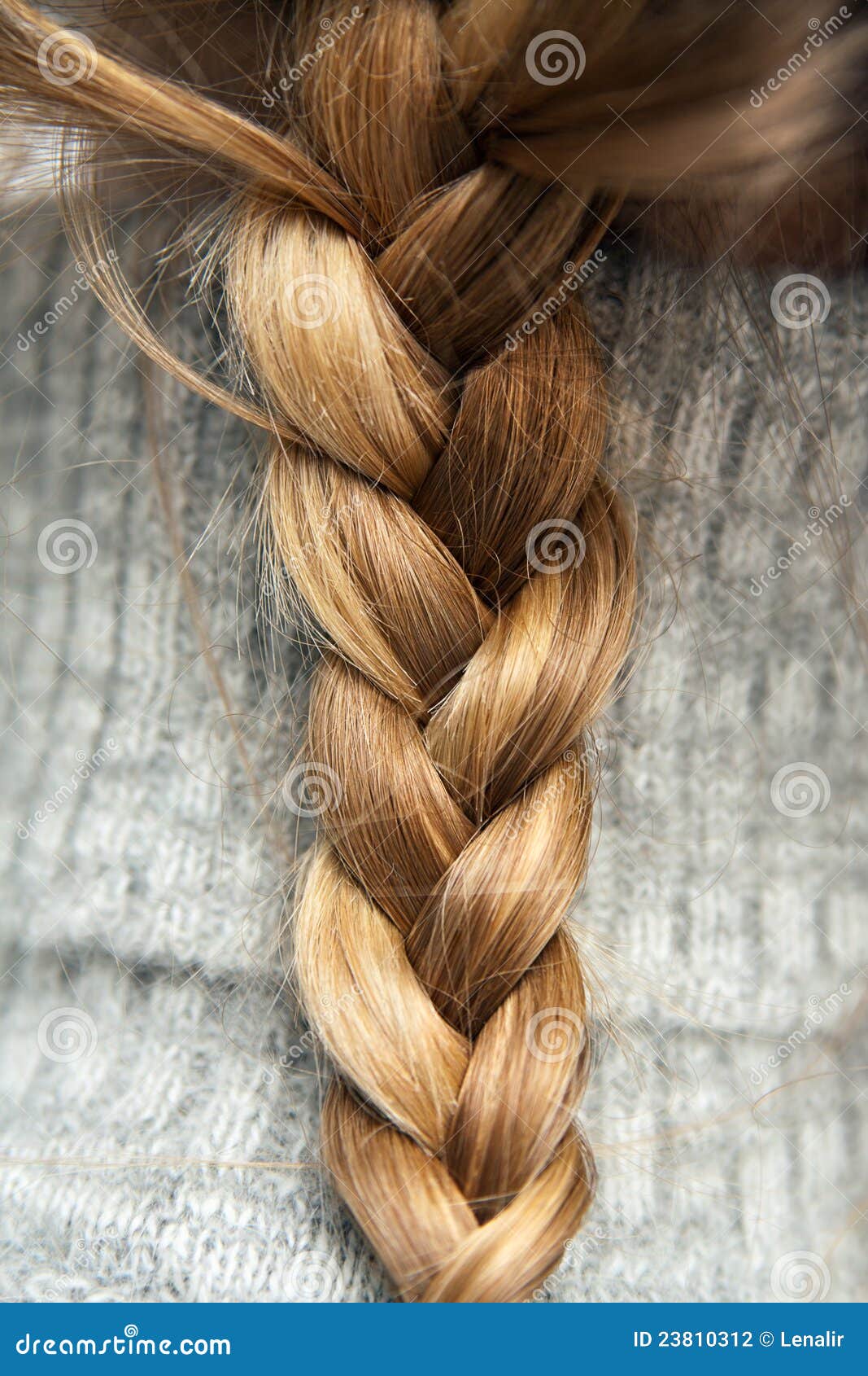 Braid stock photo. Image of young, tress, plait, white - 23810312