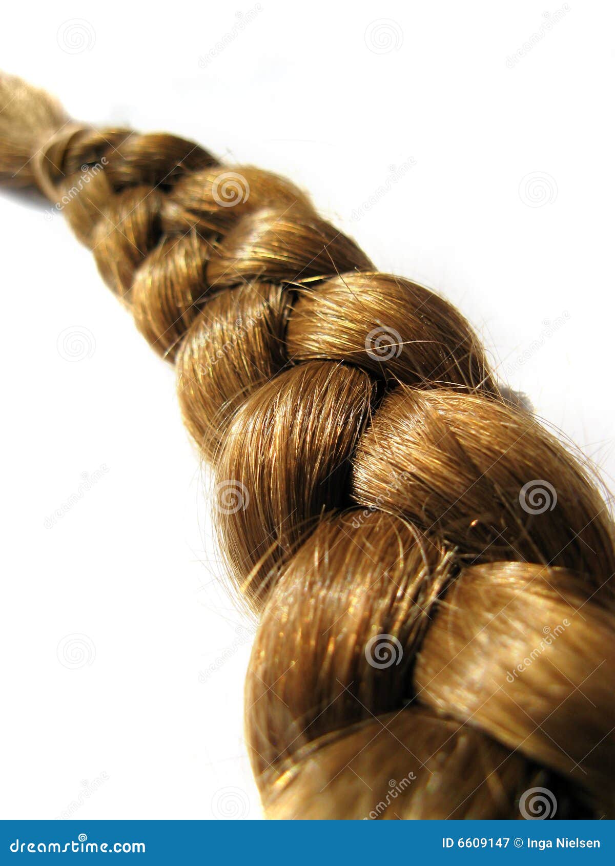 Braid stock image. Image of plait, brown, blond, human - 6609147