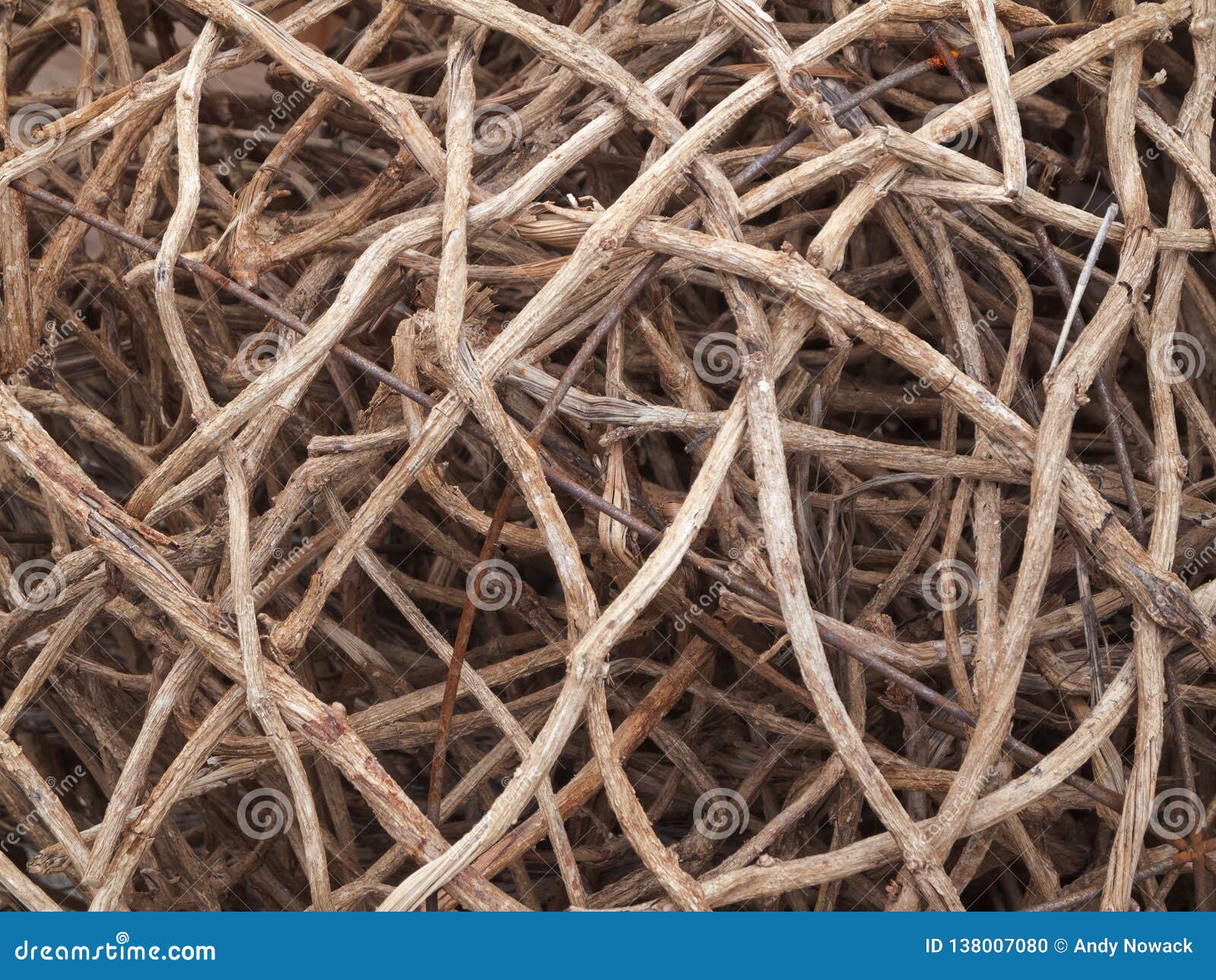 Braid of Branches with Wire Stock Photo - Image of brown, deadwood ...