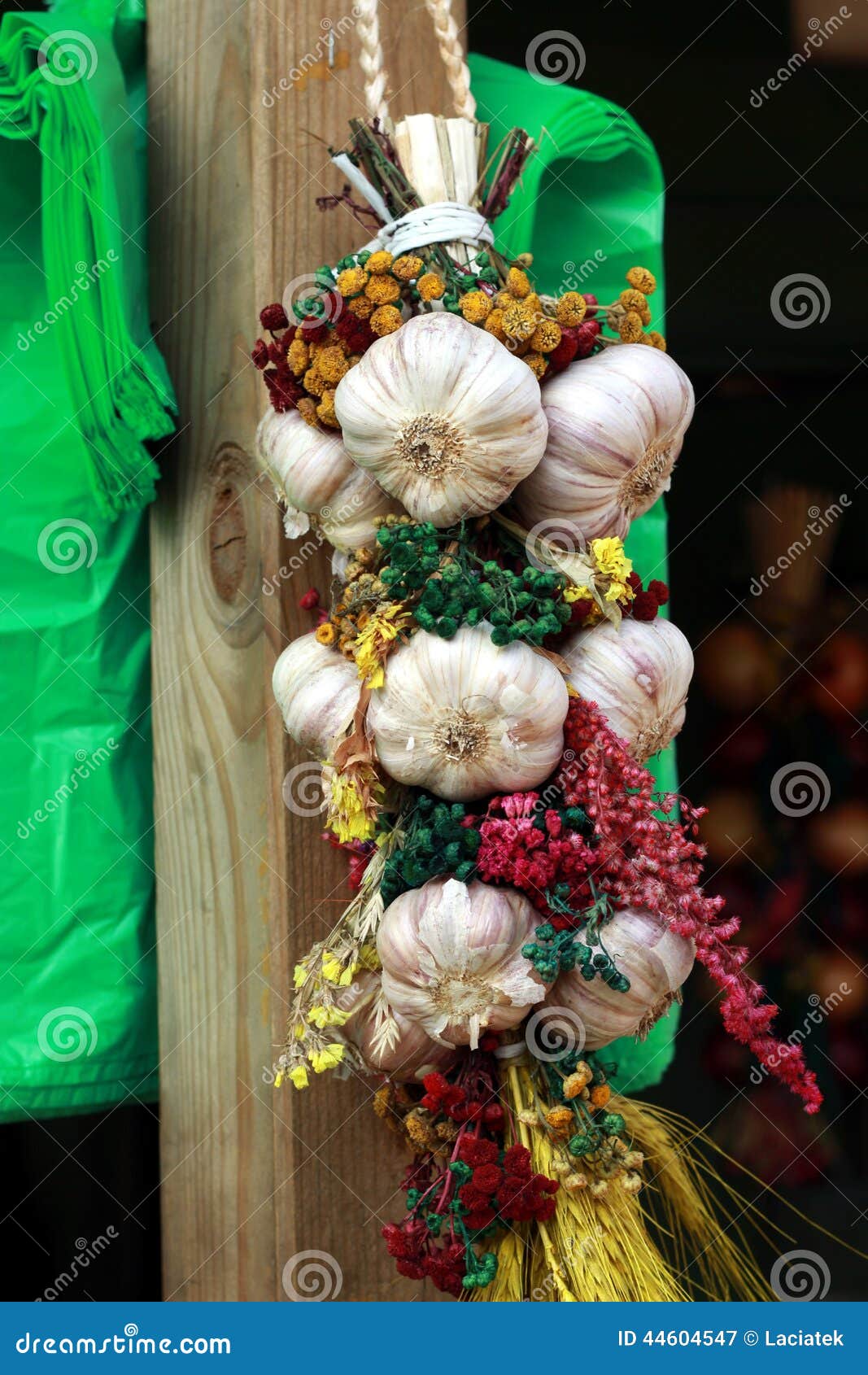 Braid of garlic stock image. Image of bulb, vegetable - 44604547