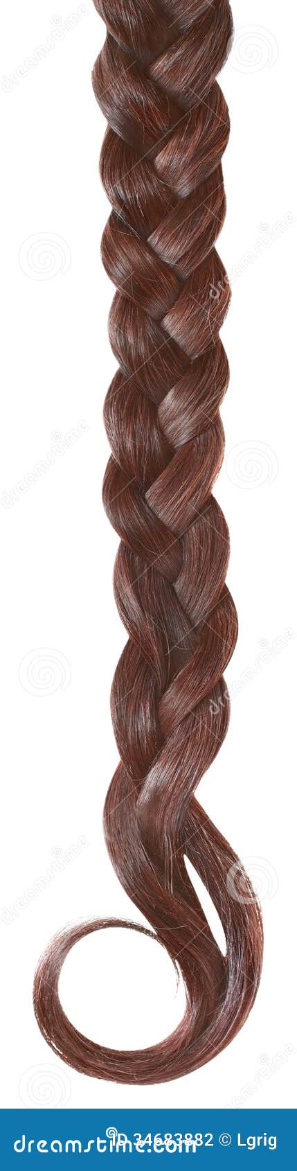 Braid isolated on white. stock photo. Image of beauty - 34683882