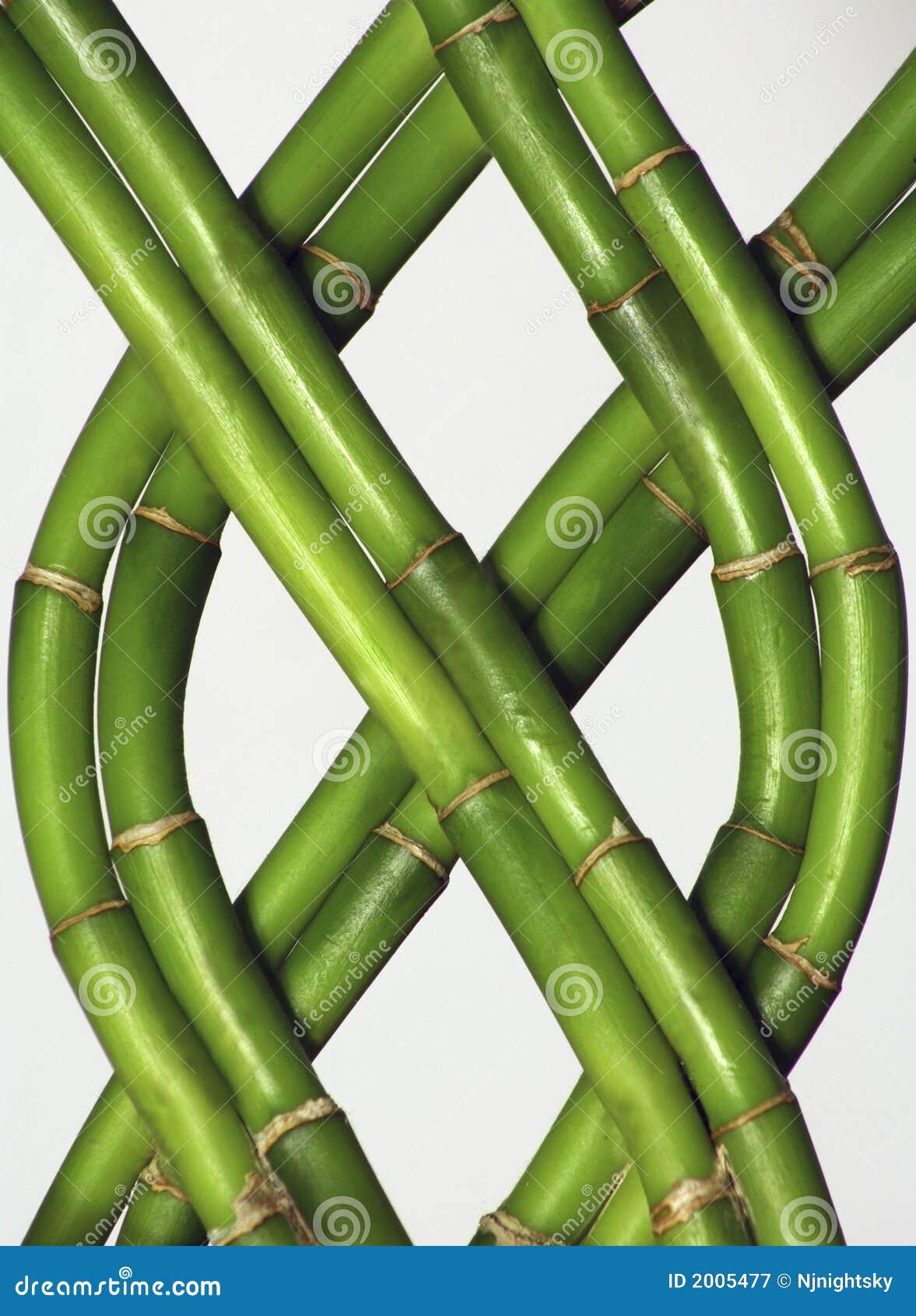 Braided Bamboo stock image. Image of braid, bamboo, luck - 2005477