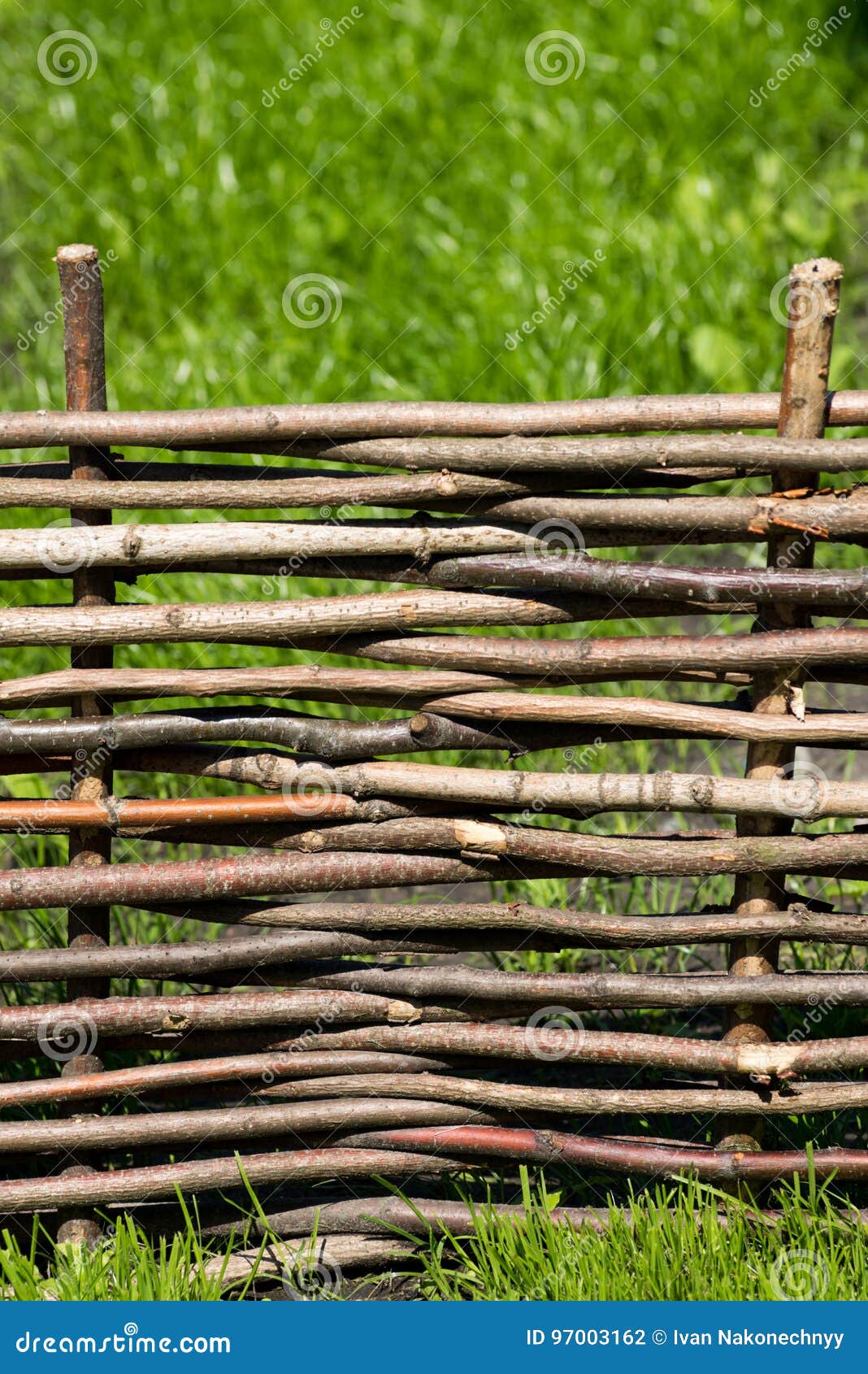 Braided Fence Made of Wood. Stock Photo - Image of rural, tree: 97003162