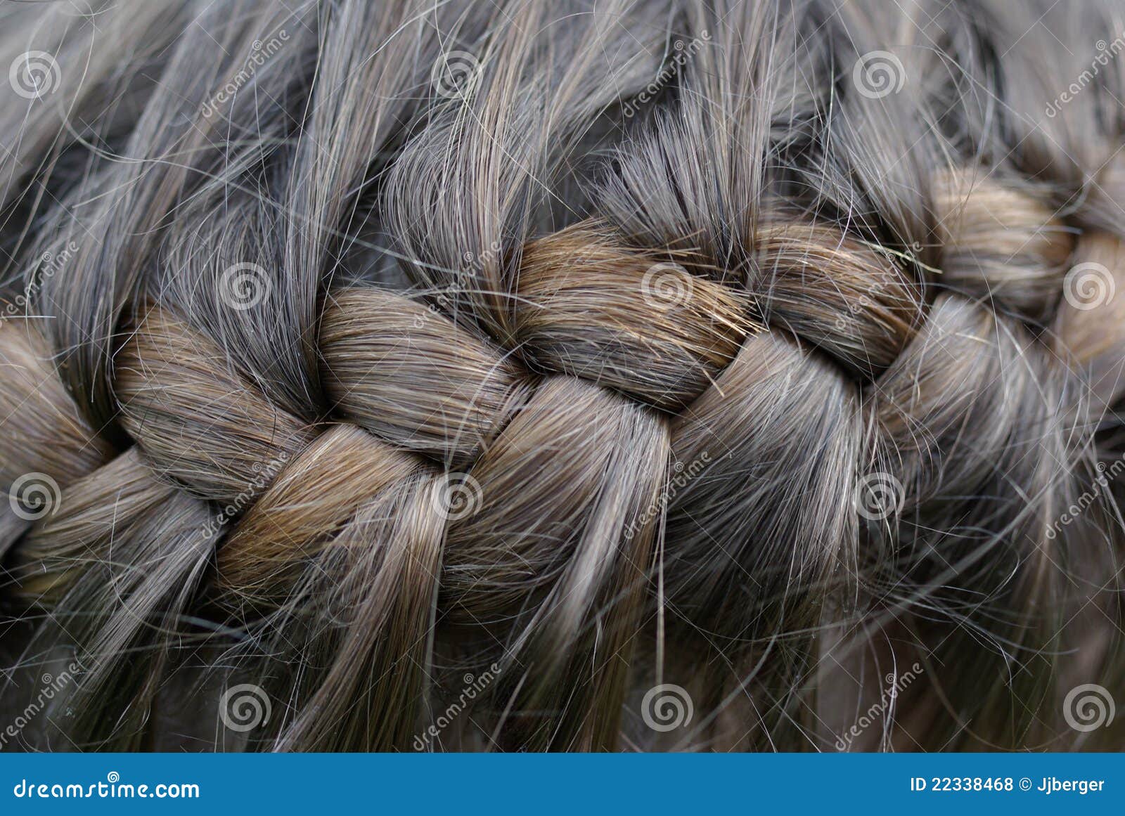 Braided hair stock photo. Image of background, braided - 22338468