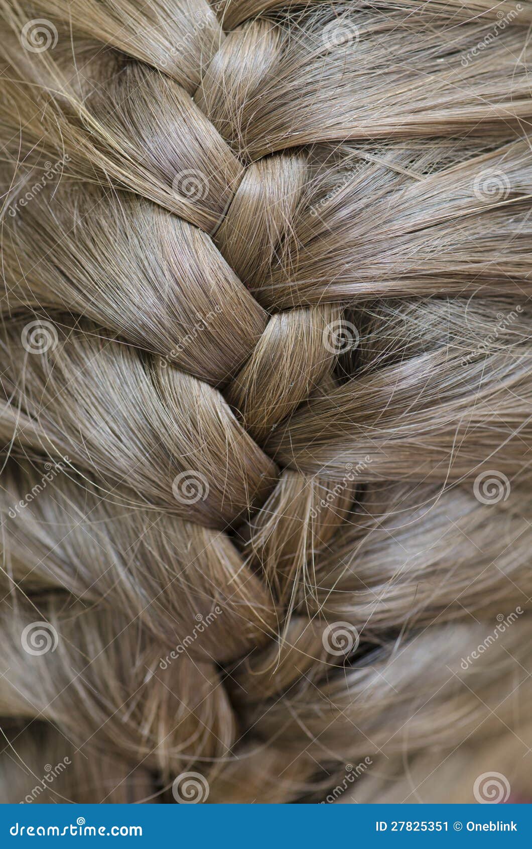 Braided Hair stock image. Image of female, brunette, salon - 27825351