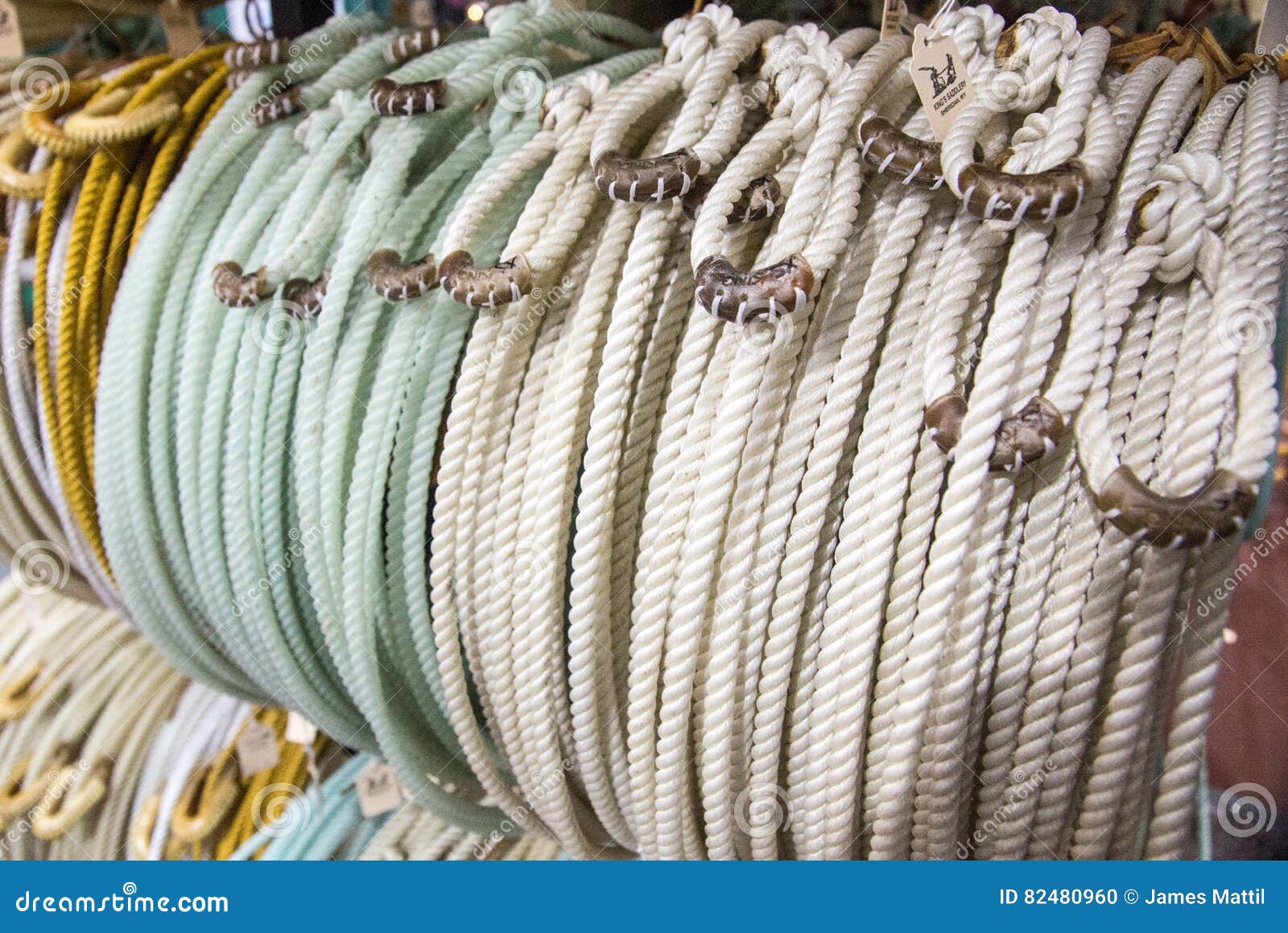 Braided Lariat Rope stock photo. Image of lariat, rodeo - 82480960