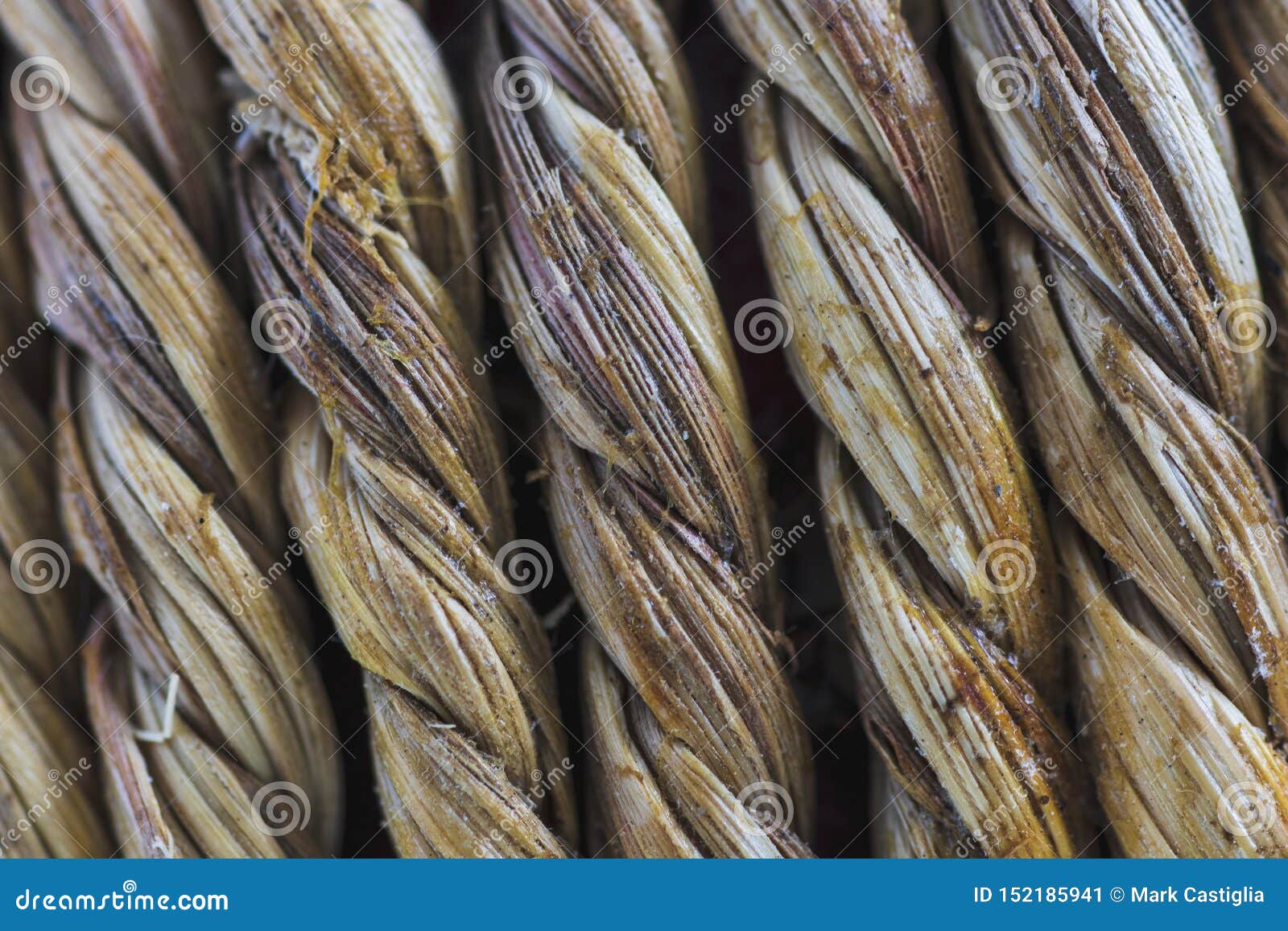 Braided Natural Fibers. Extreme Macro Stock Image - Image of surface ...