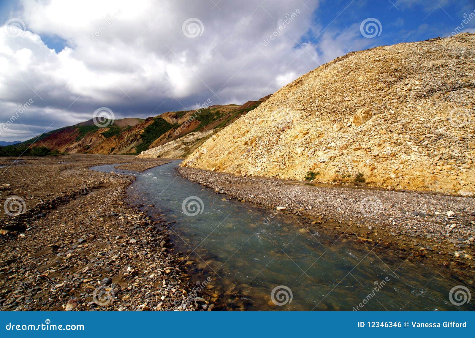 Braided River and Canyon stock photo. Image of nature - 12346346