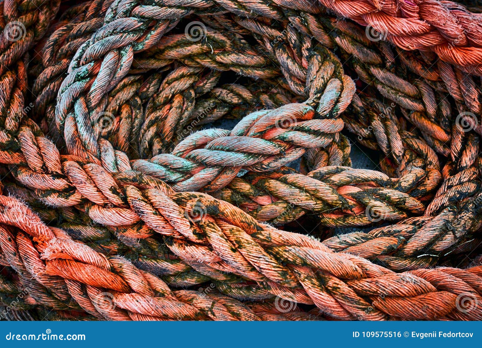 Braided sea rope stock photo. Image of twisted, weaving - 109575516