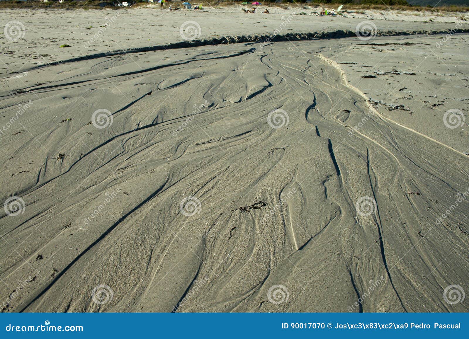 Braided Stream in the Beach. Stock Photo - Image of beach, landscape ...