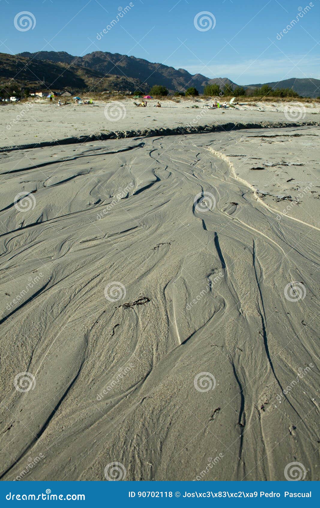 Braided Stream in the Beach. Stock Photo - Image of landscape, view ...