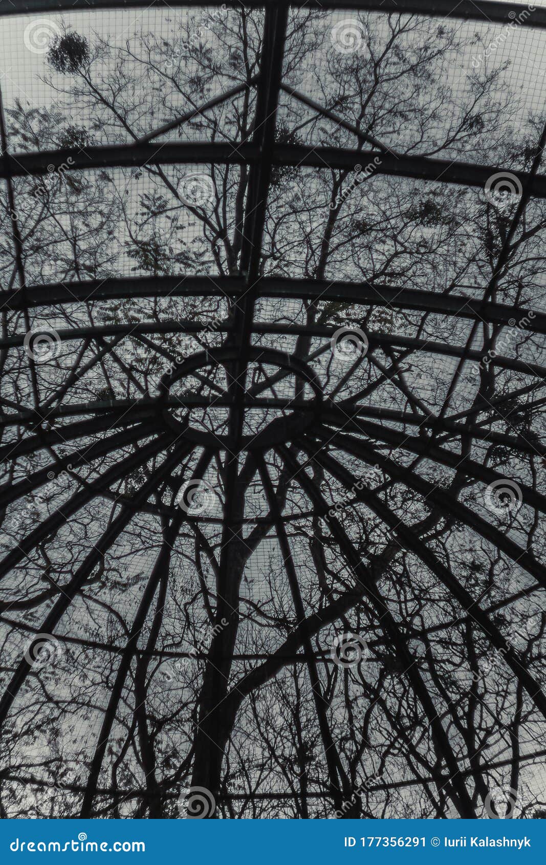 Braided Trees and Branches Over the Metal Dome Stock Image - Image of ...