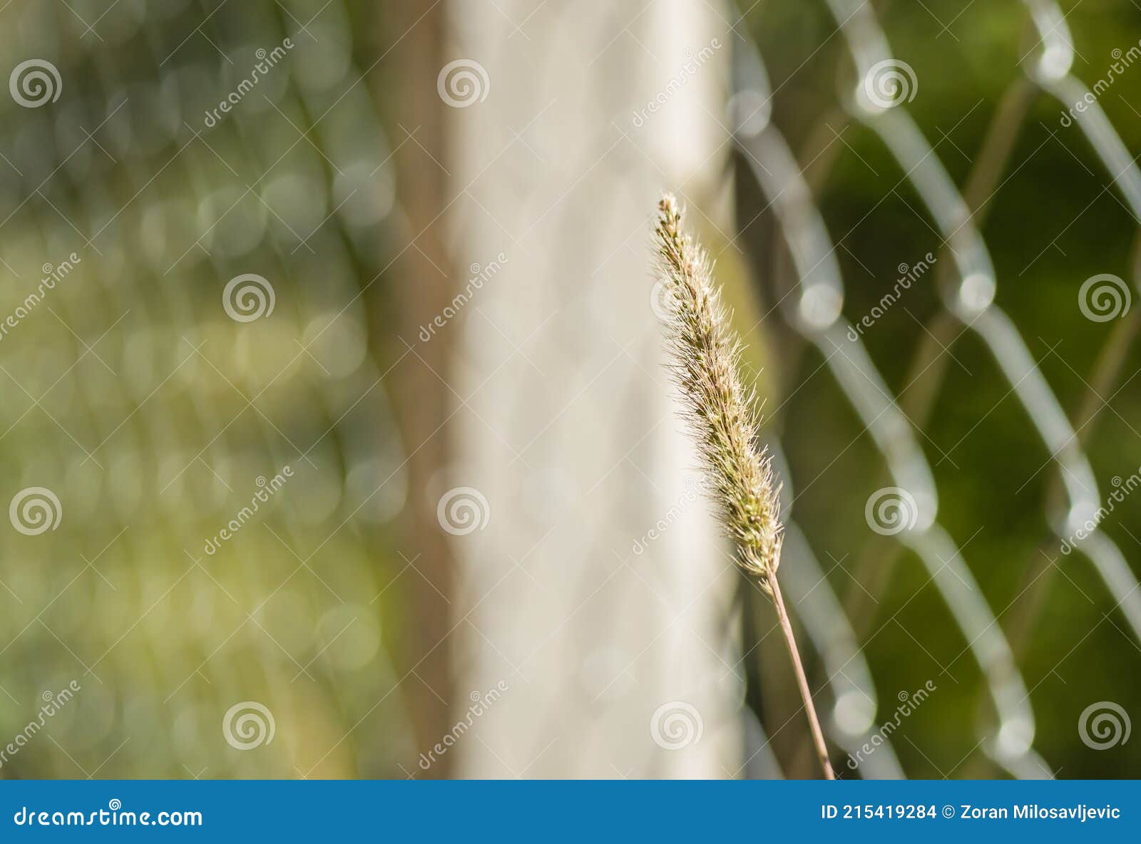 Braided Wire Fence on Concrete Pillars. Stock Photo - Image of chained ...