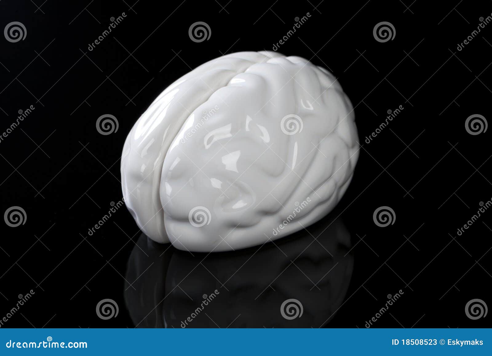 574 Ceramic Brain Stock Photos - Free & Royalty-Free Stock Photos from ...