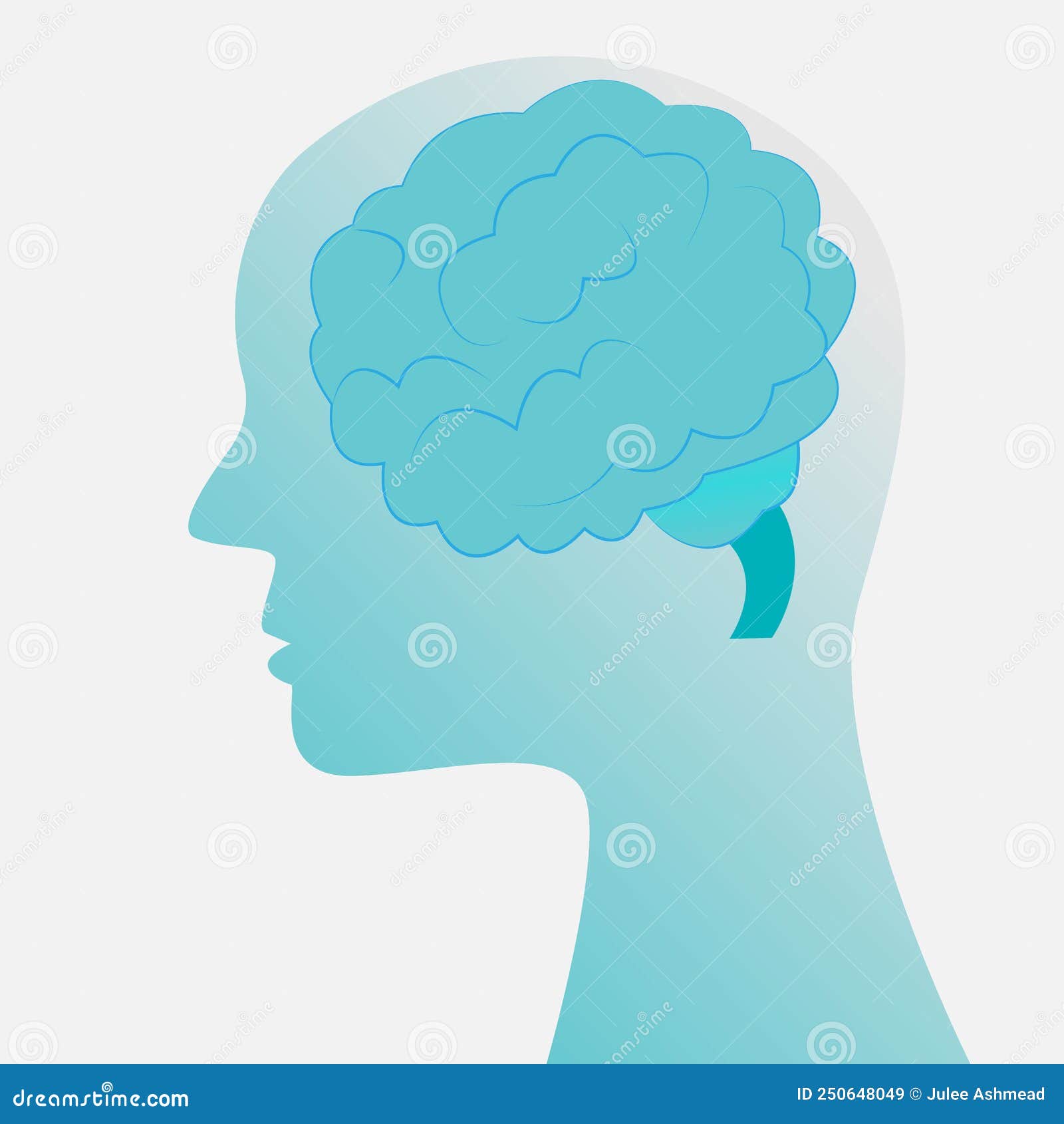 Human Side Profile Silhouette with Brain Stock Vector - Illustration of ...