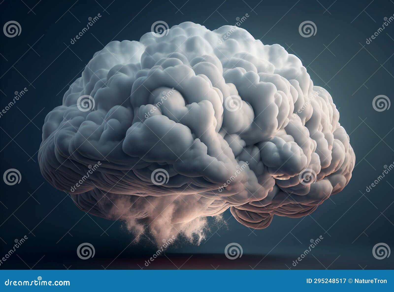 Brain stock illustration. Illustration of anatomy, blue - 295248517