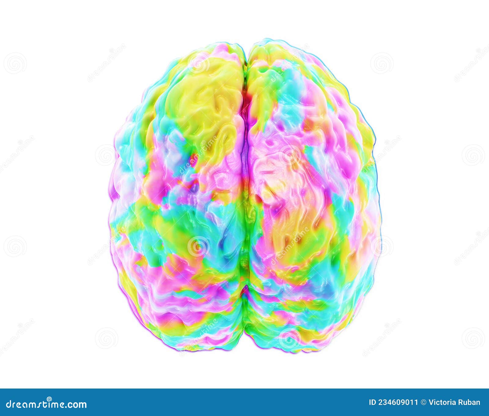 Brain Activity, Colored Human Brain Model, View Top Stock Illustration ...
