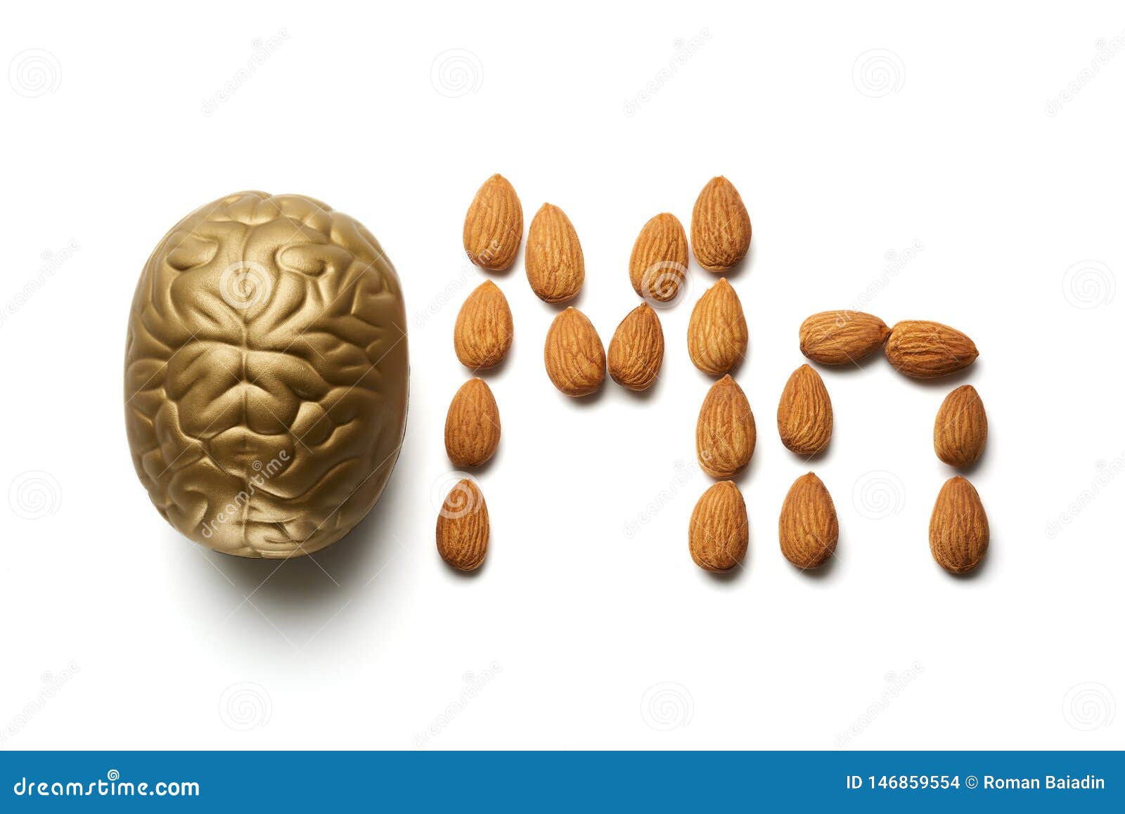 Brain and Almond Nuts Isolated on White. Top View Stock Photo - Image ...