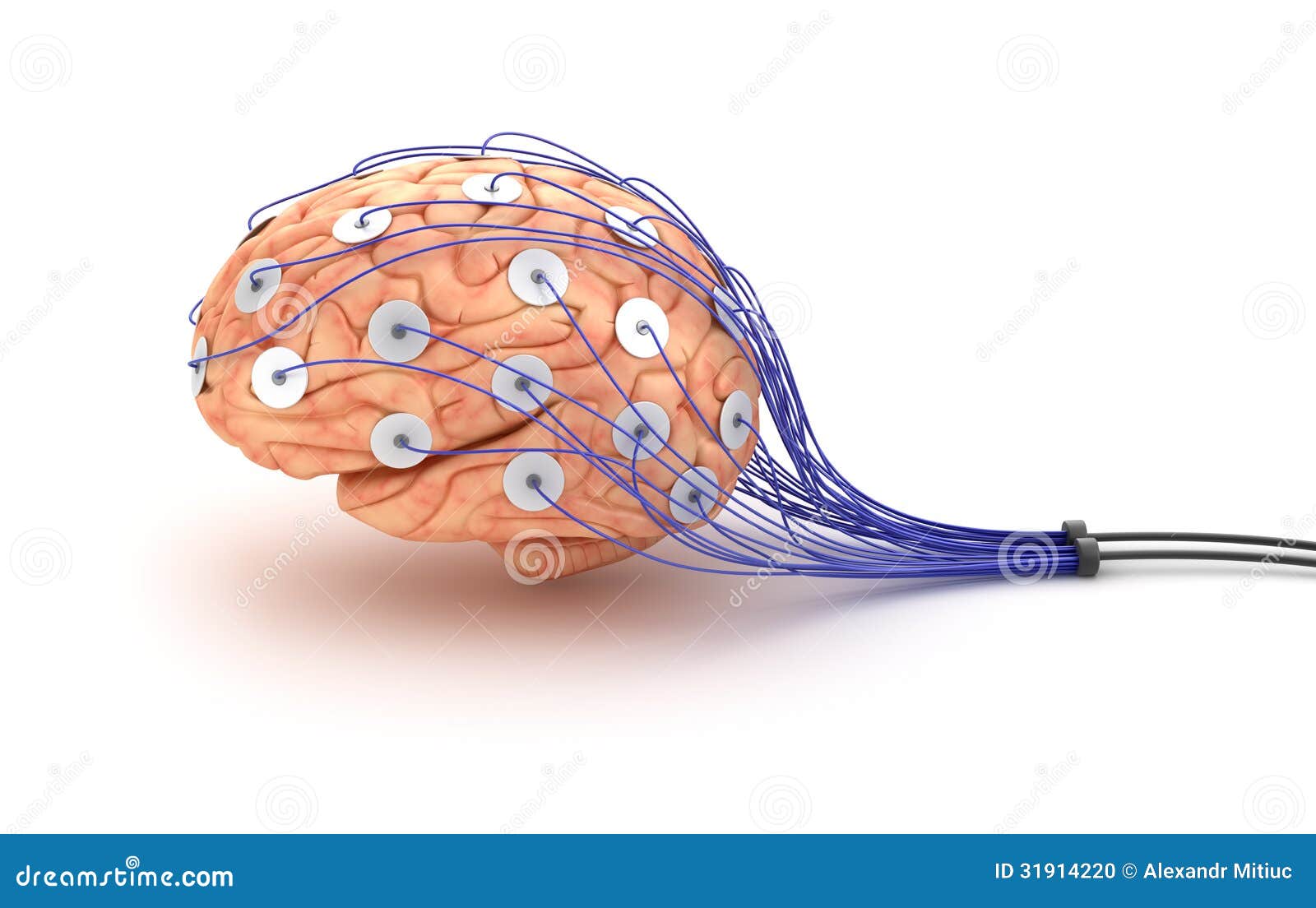 Polygraph Test Landing Page Template Set. Tiny Characters At Computer ...