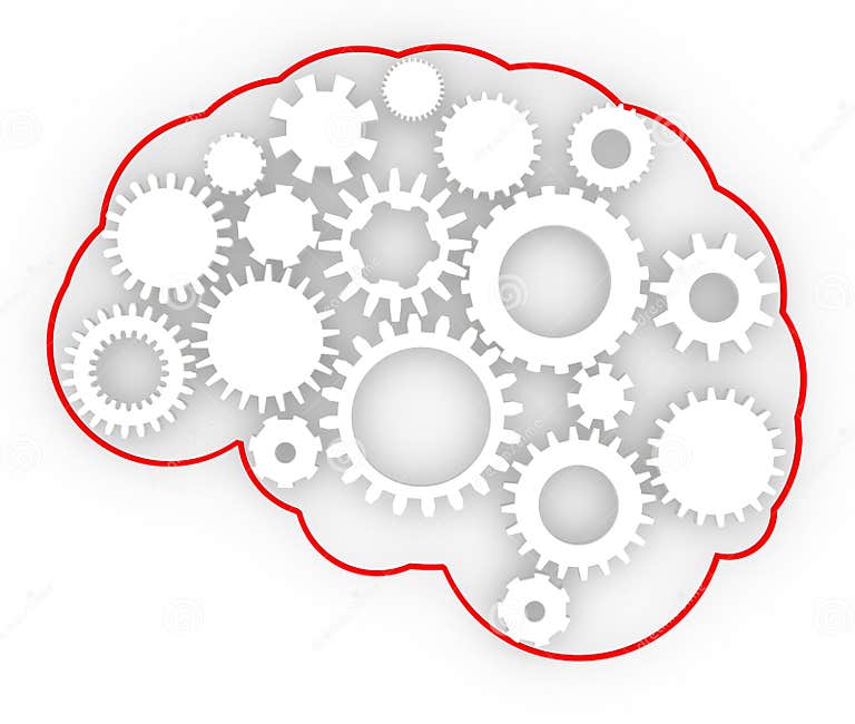 Brain Anatomy of the Human Body Gear Ideas Stock Illustration ...