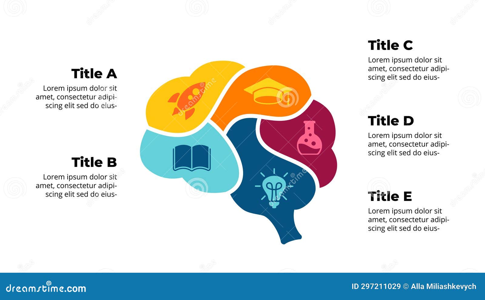 Brain Anatomy Infographic. Educational Creative Thinking Concept ...