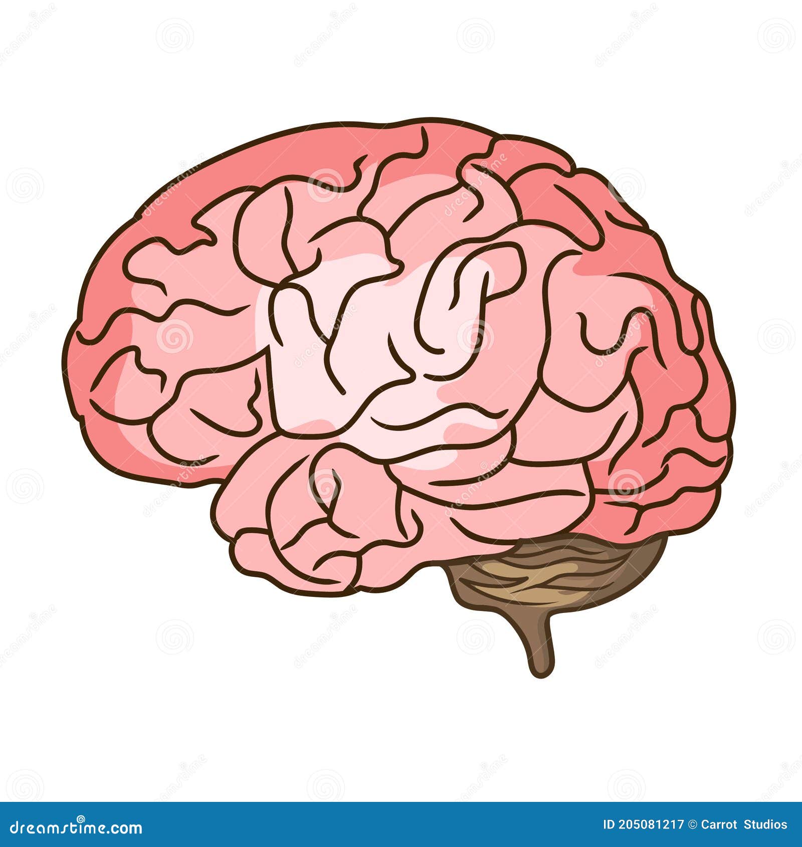 Brain Vector Stock Illustration Stock Vector - Illustration of nervous ...