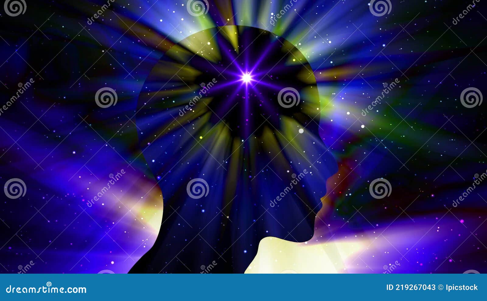 Silhouette of a Human Head and an Animated Intelligence of the Brain ...