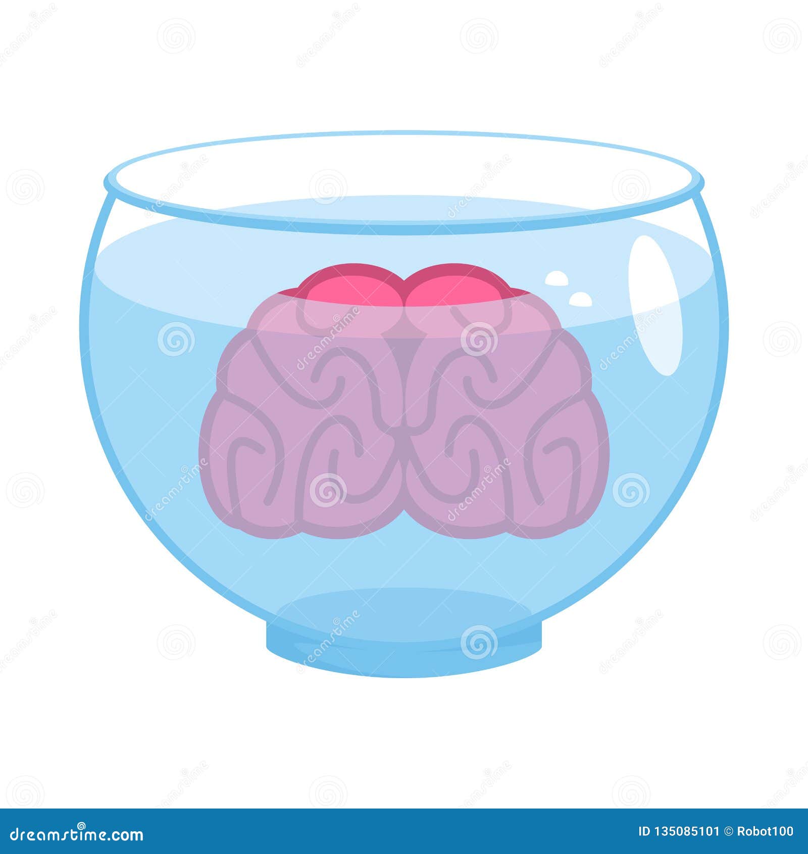 Aquarium Mind Map, Concept For Presentations And Reports Royalty-Free ...