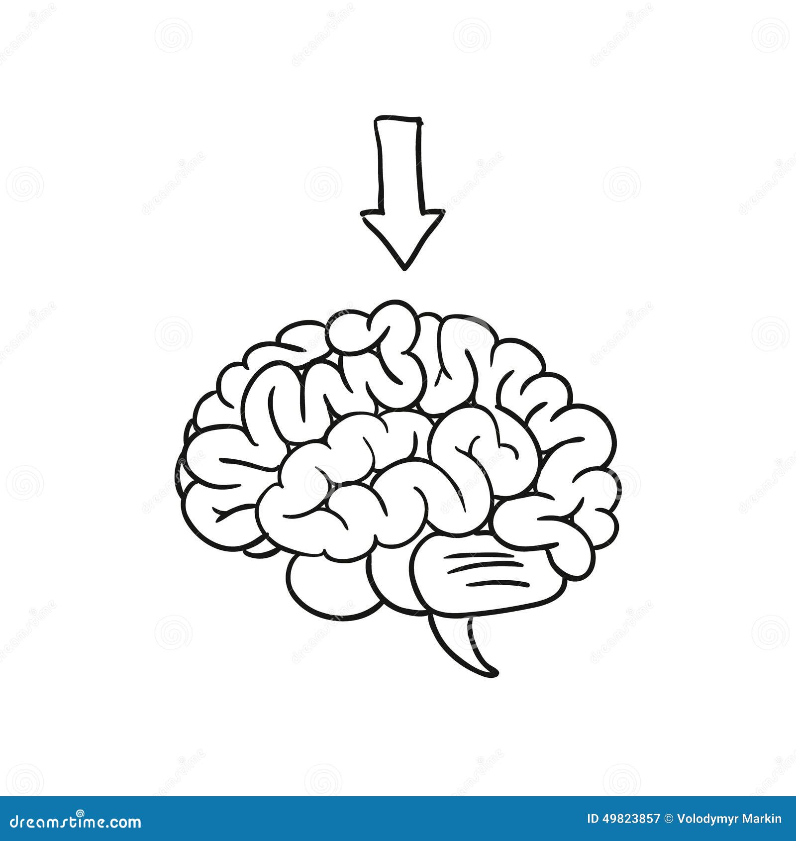 Brain with Arrow. Illustration Stock Illustration - Illustration of ...