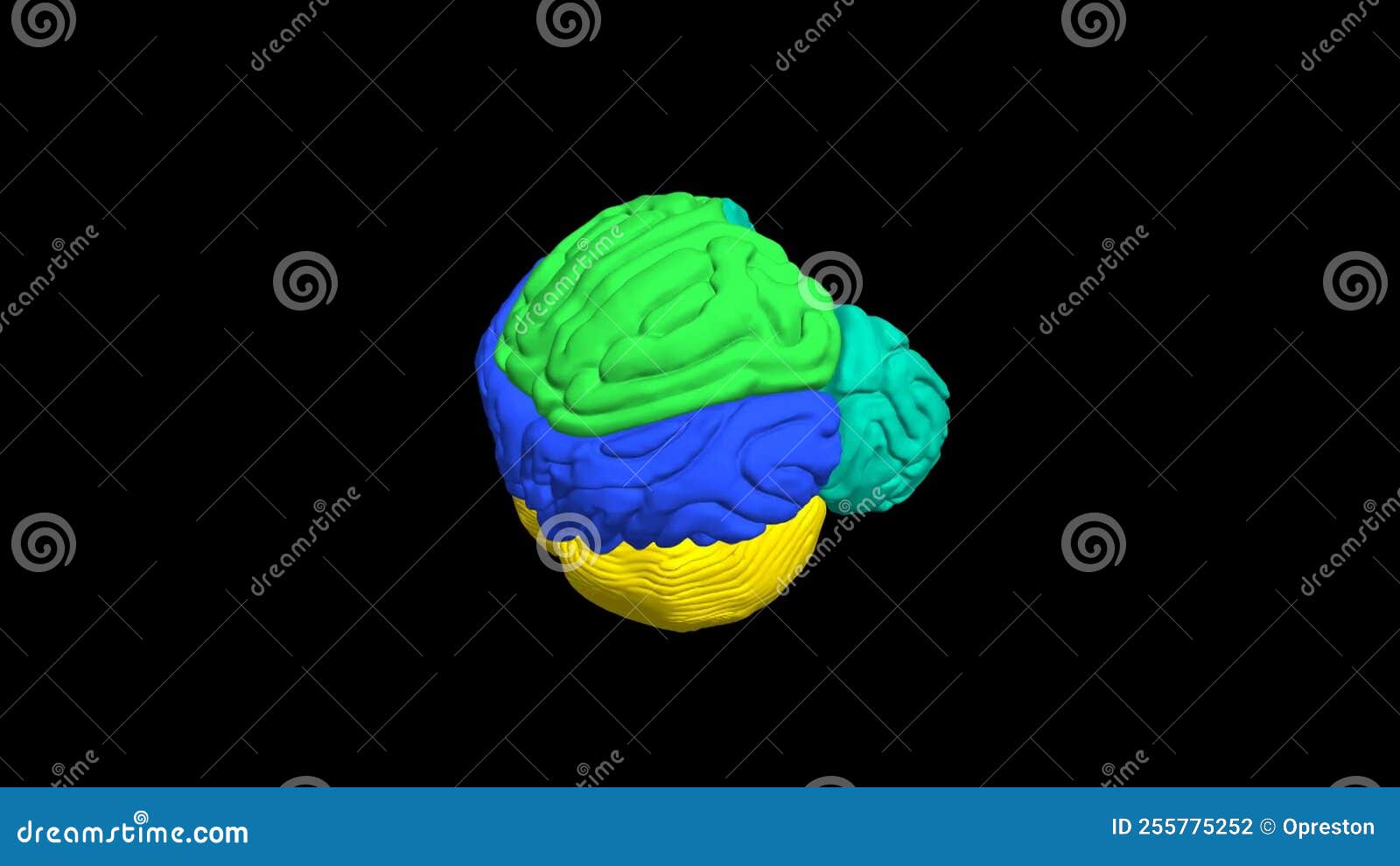 Brain Assembly, 3D Animation Stock Footage - Video of animation ...
