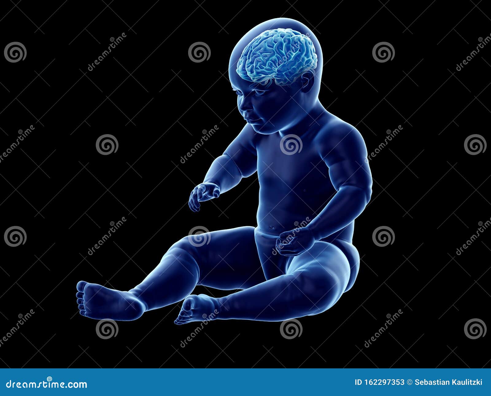 The brain of a baby stock illustration. Illustration of intelligence ...