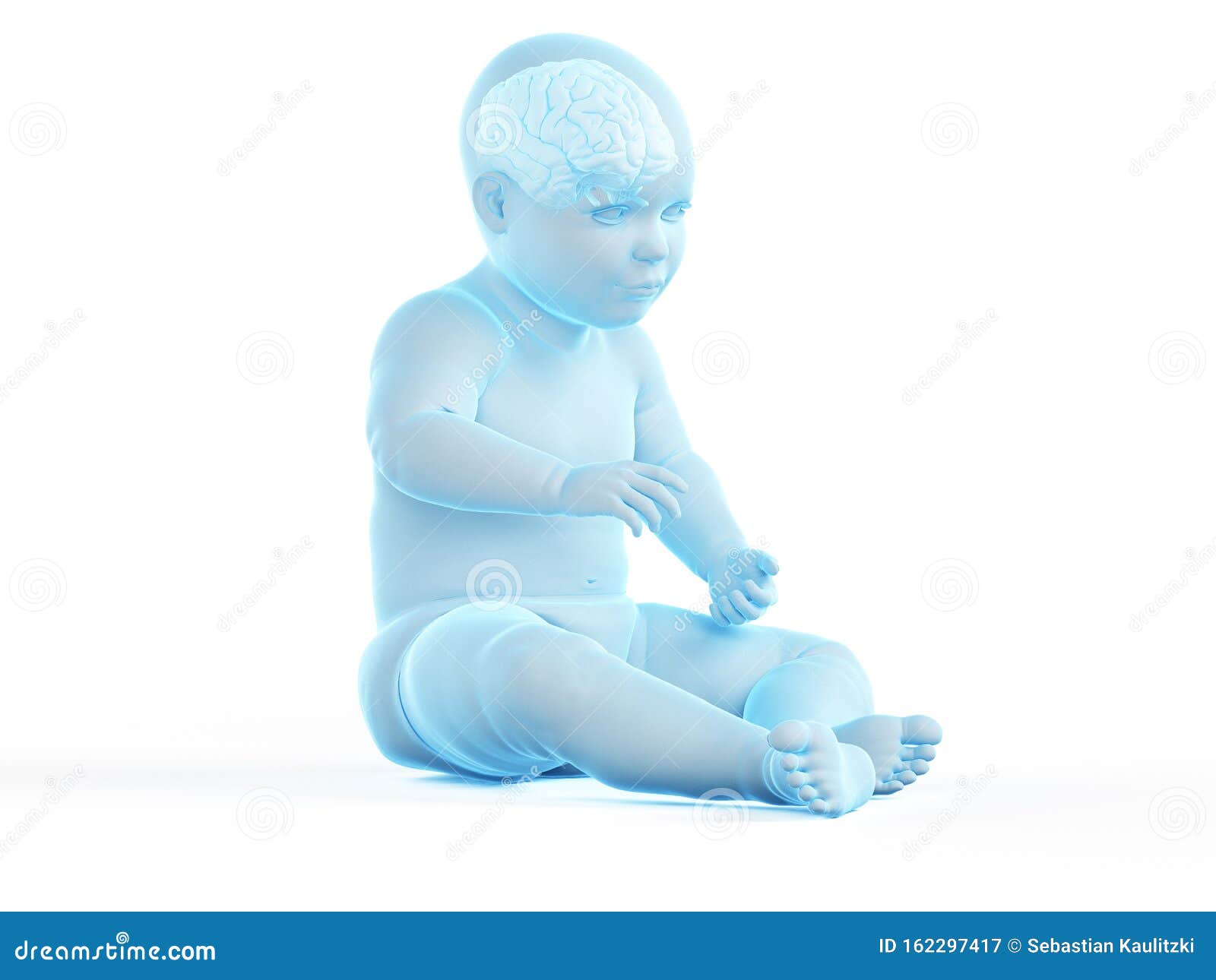 The brain of a baby stock illustration. Illustration of anatomy - 162297417