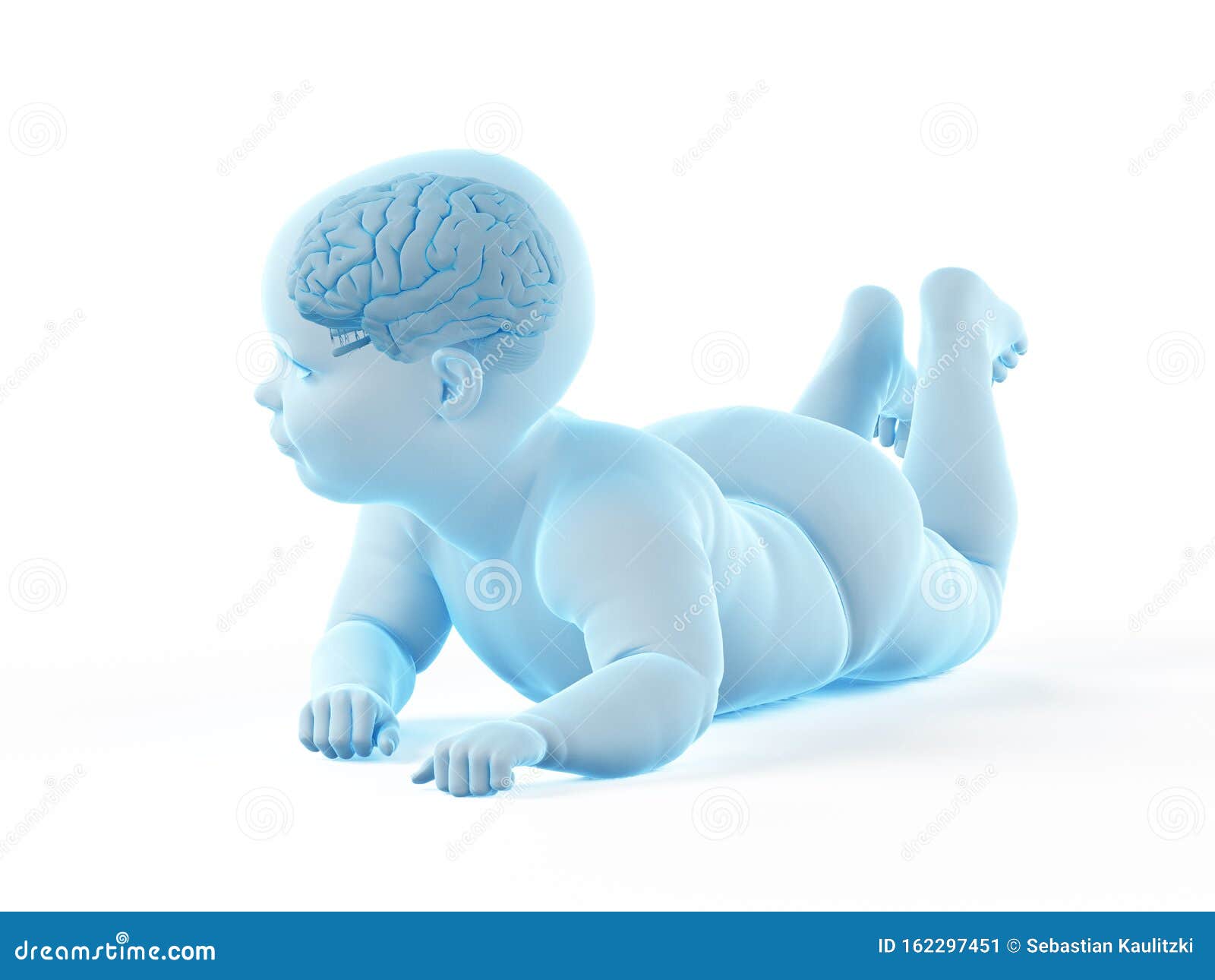 The brain of a baby stock illustration. Illustration of brain - 162297451